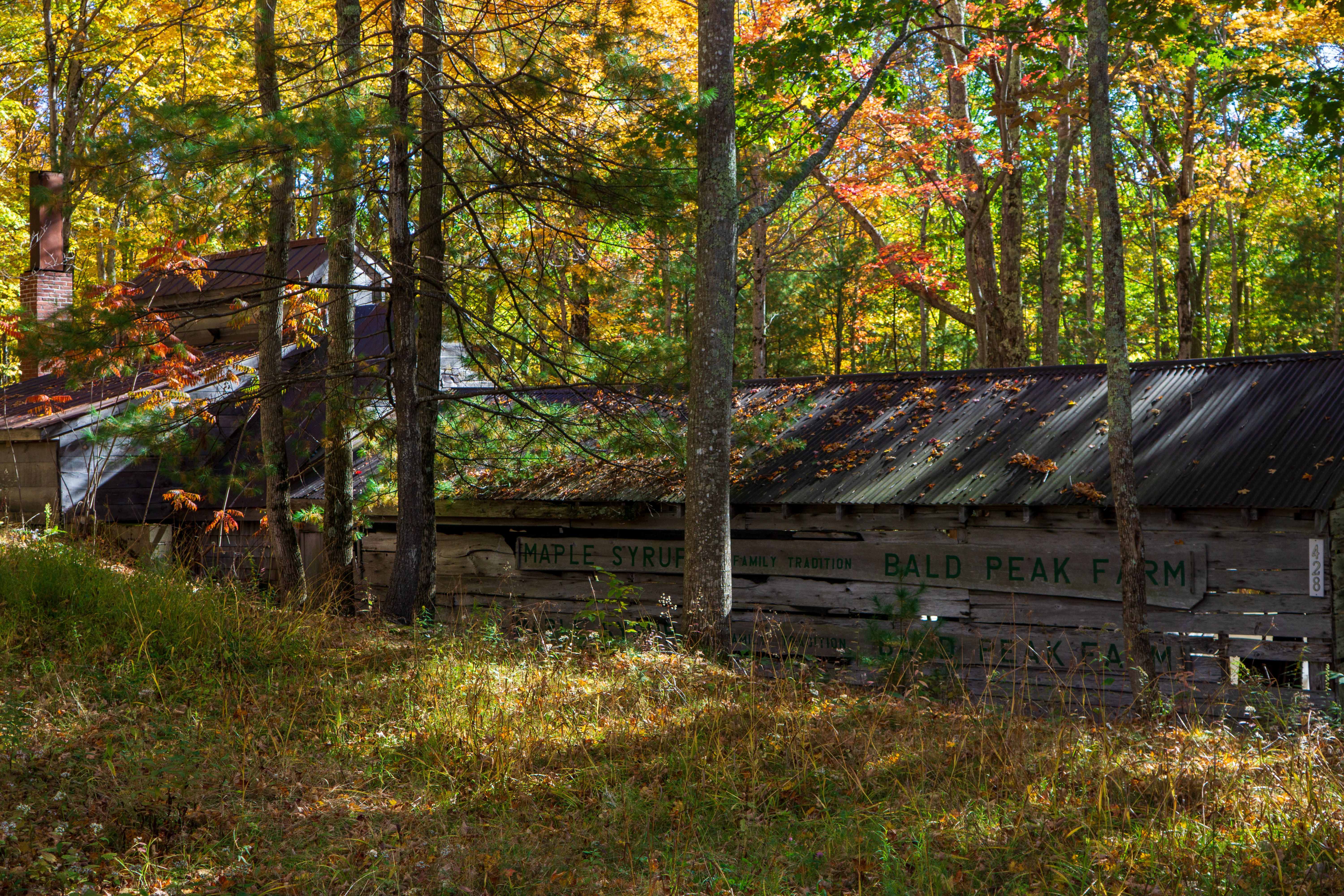 Wooden Building inside a Forest in Autumn · Free Stock Photo