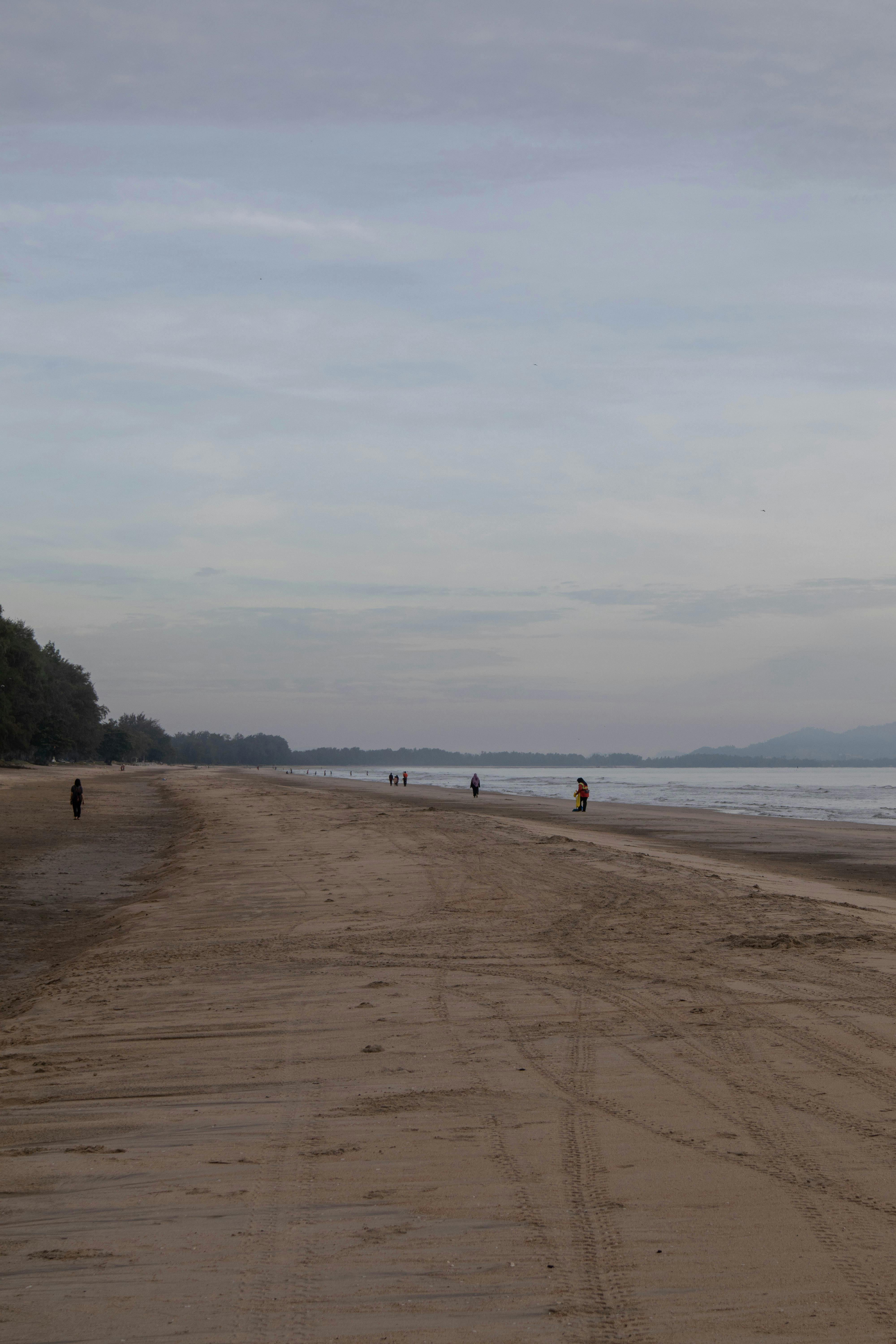 Photo of a Beach Shore with People · Free Stock Photo