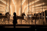 More 50 Carousel Synonyms. Similar words for Carousel.