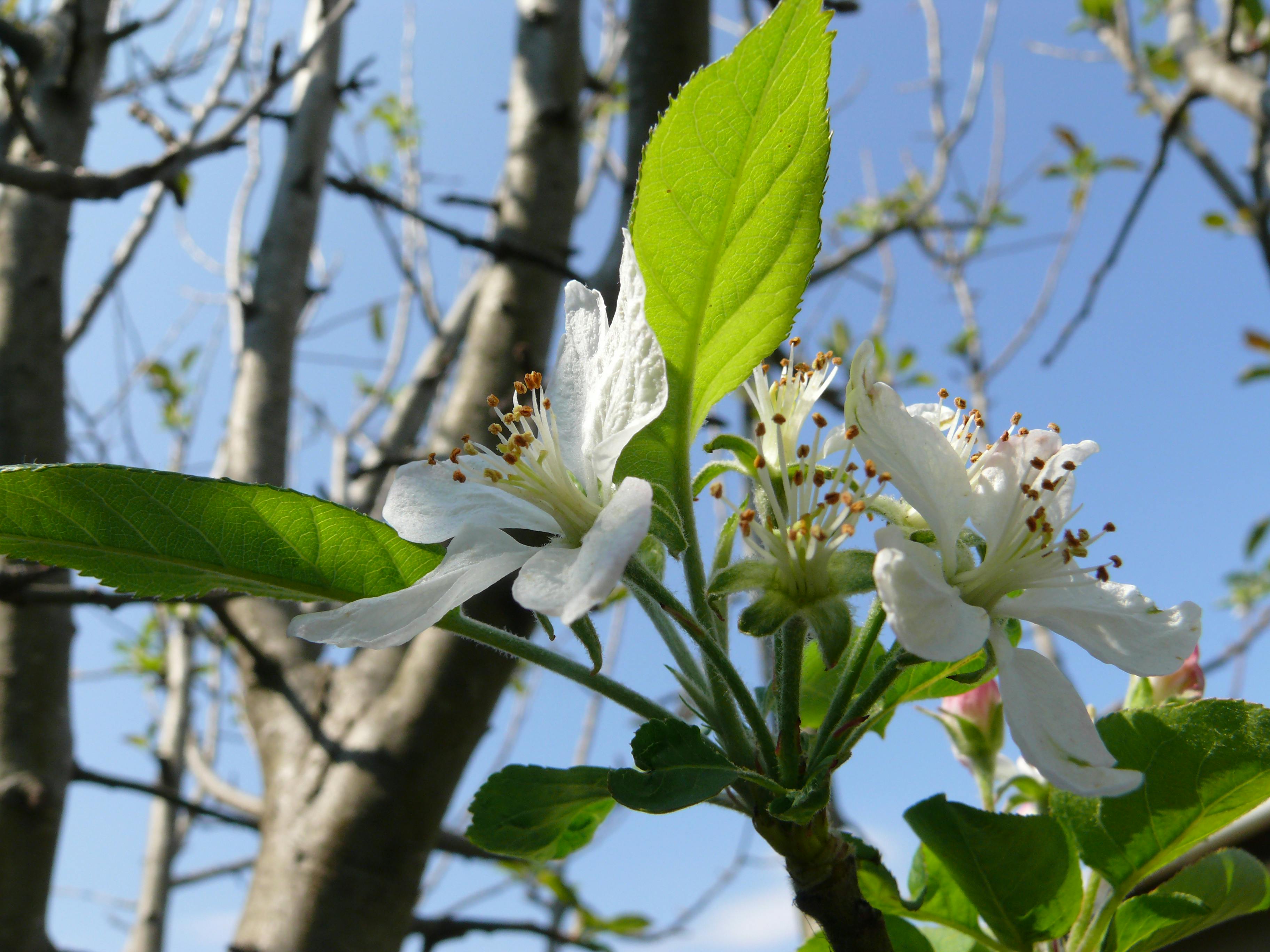 Jack Da Silva - 사진