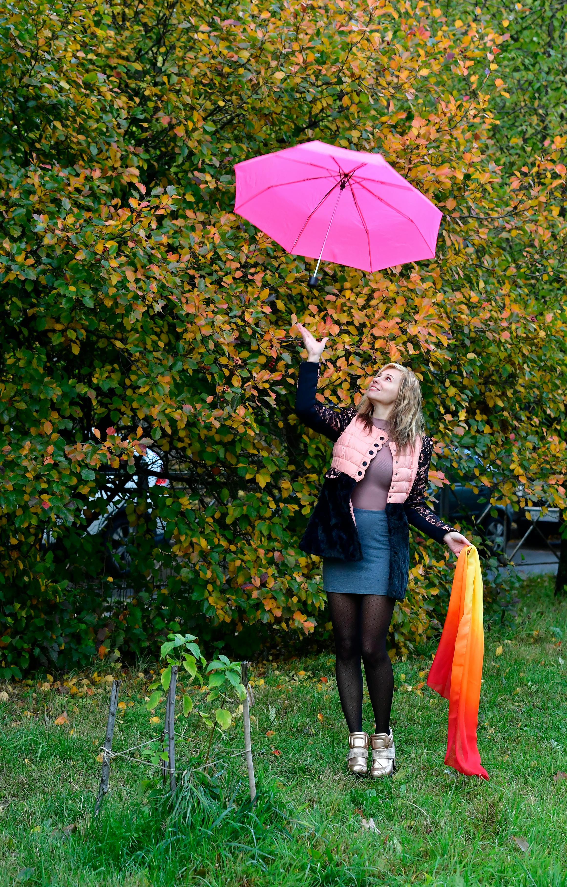 A Woman Standing Beside the Tree · Free Stock Photo