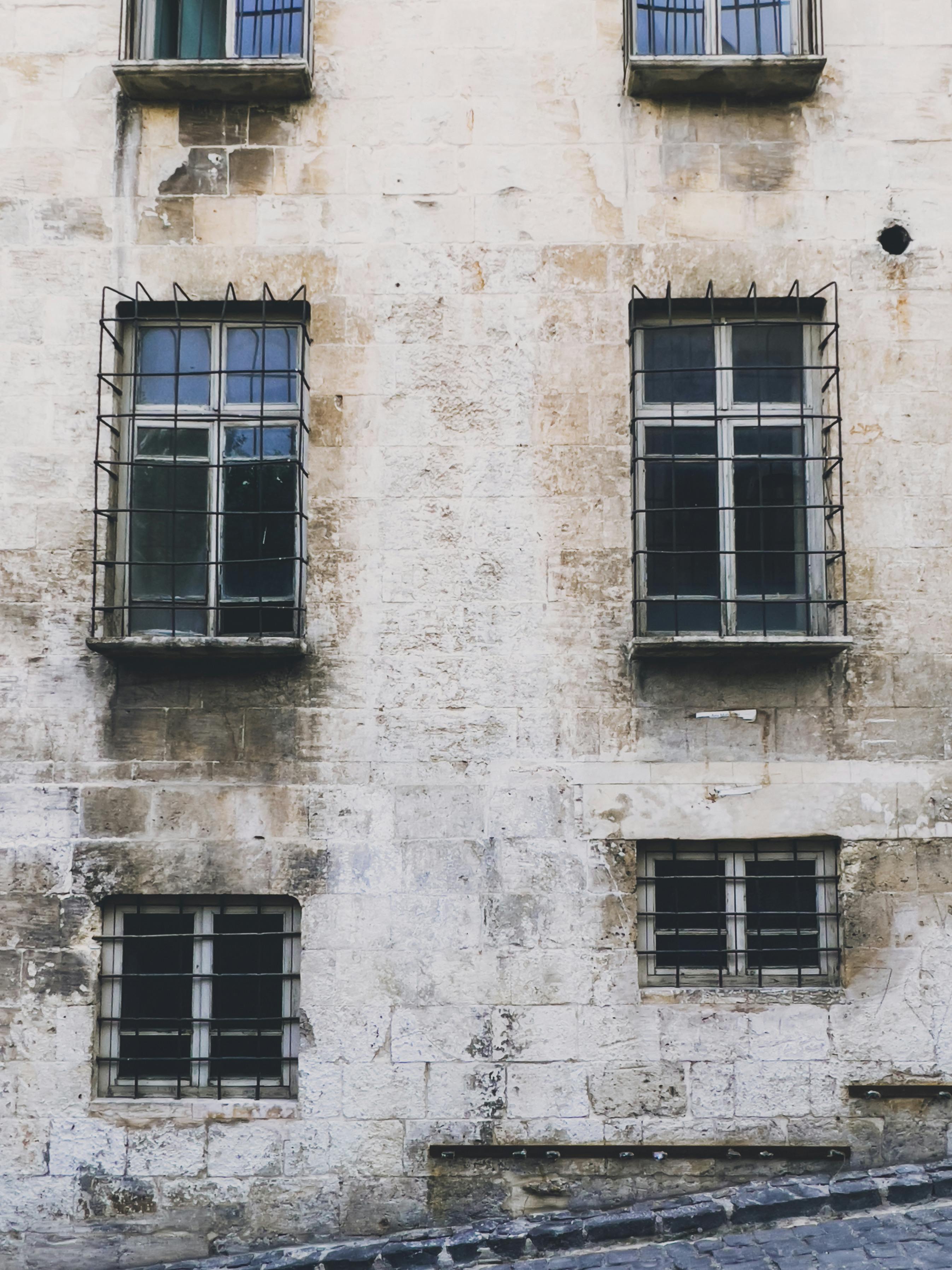 Windows with Mesh · Free Stock Photo