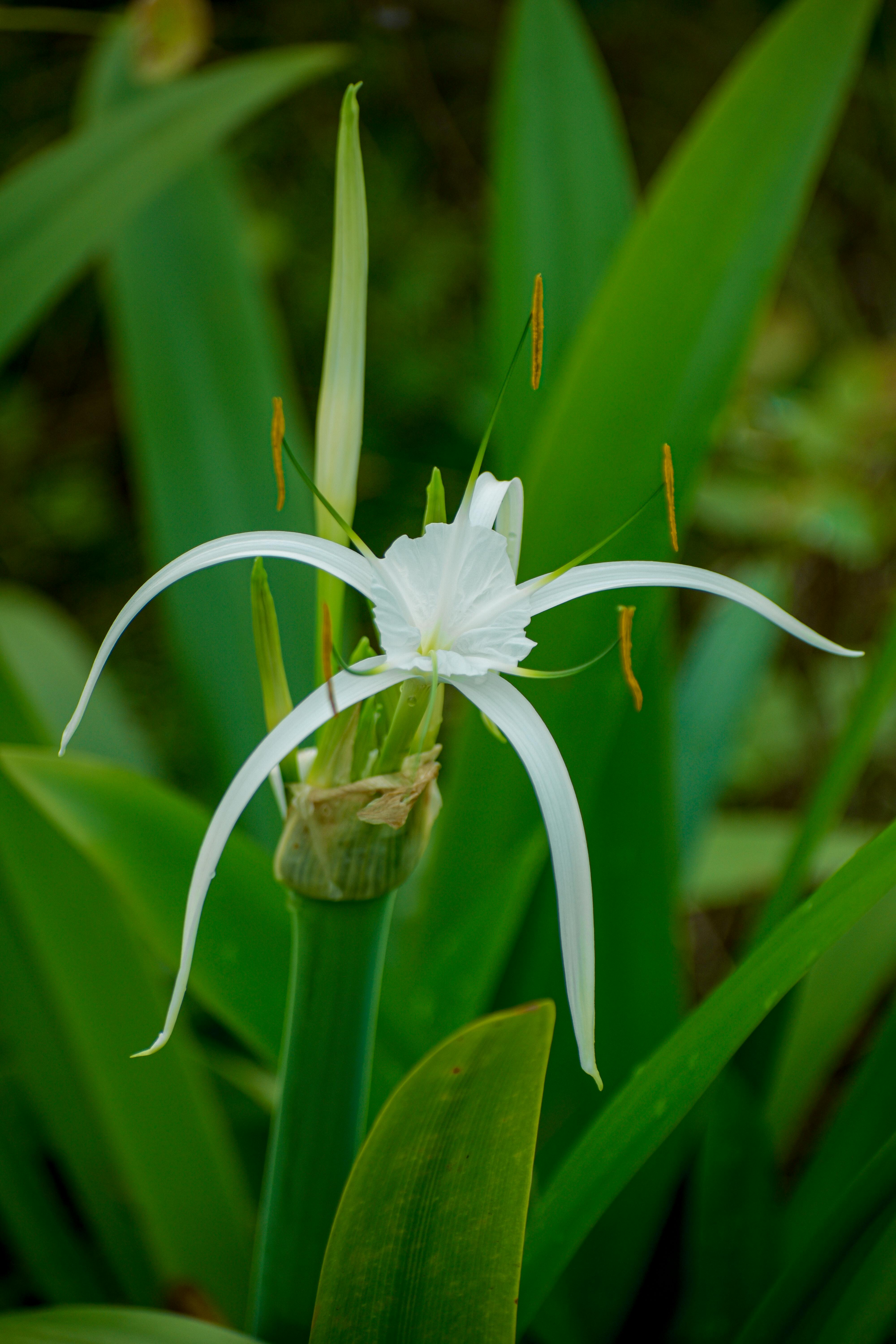 Subhadeep Kundu - Photography