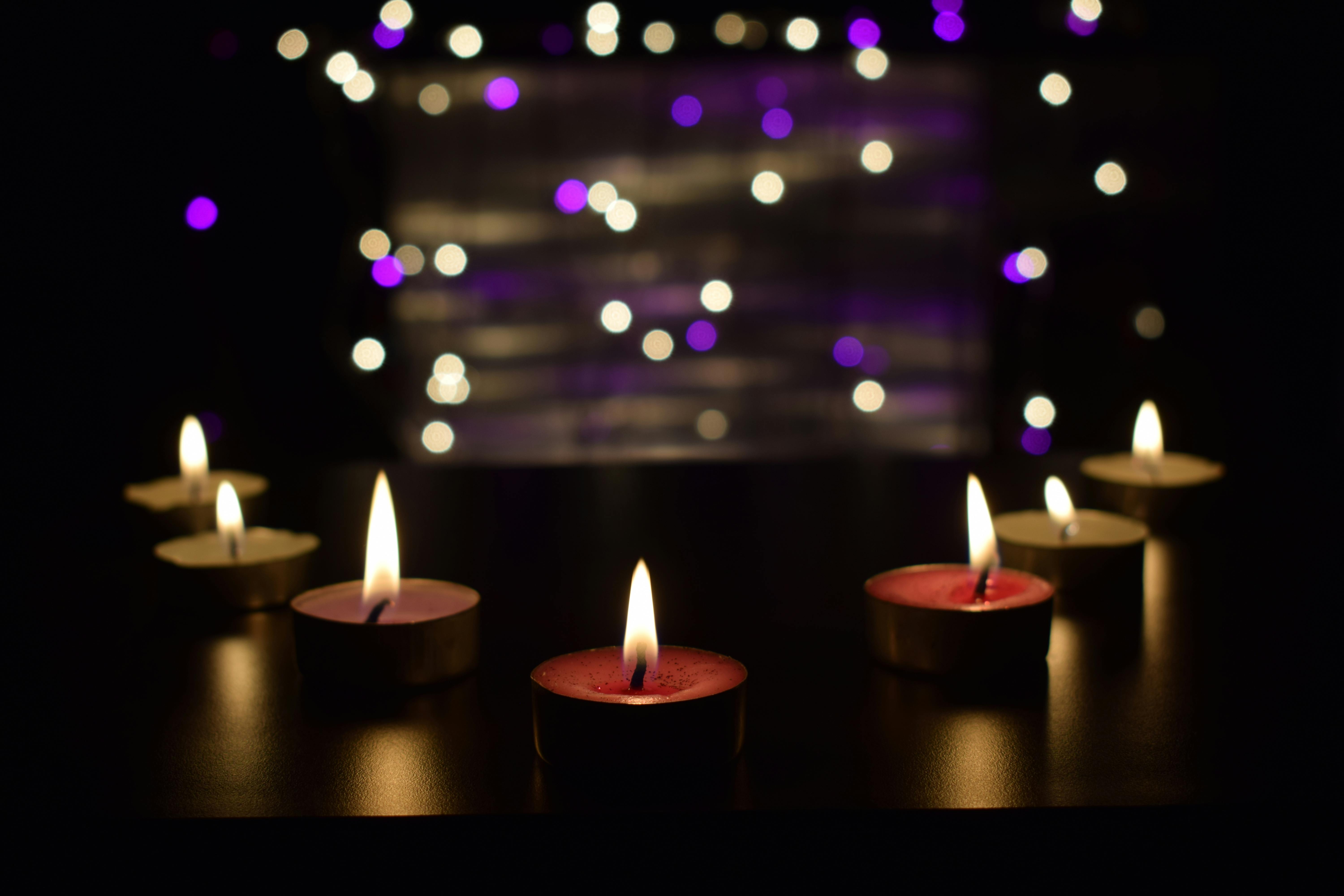 TANMAY GHOSH - 攝影