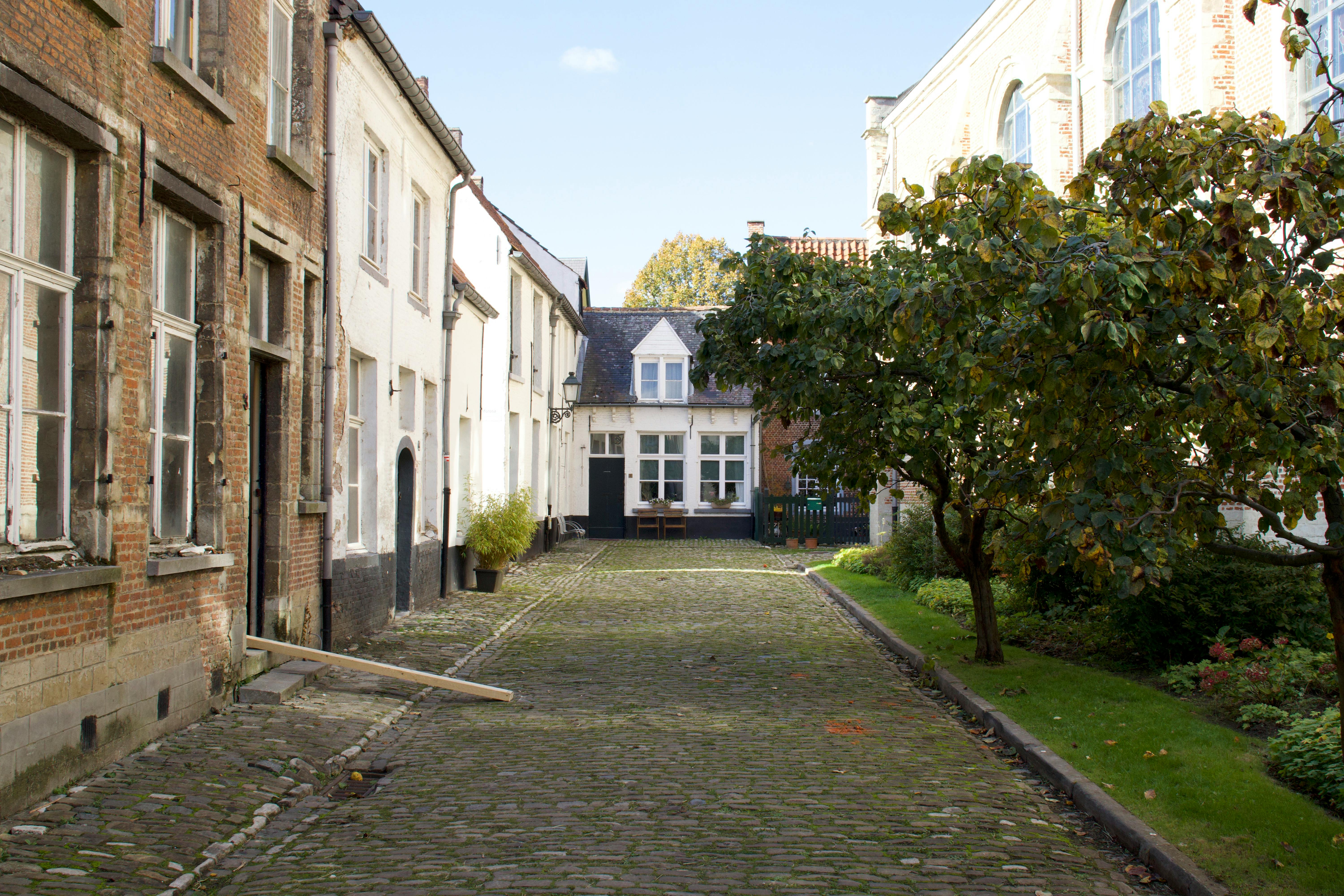 Driveway Between Houses · Free Stock Photo