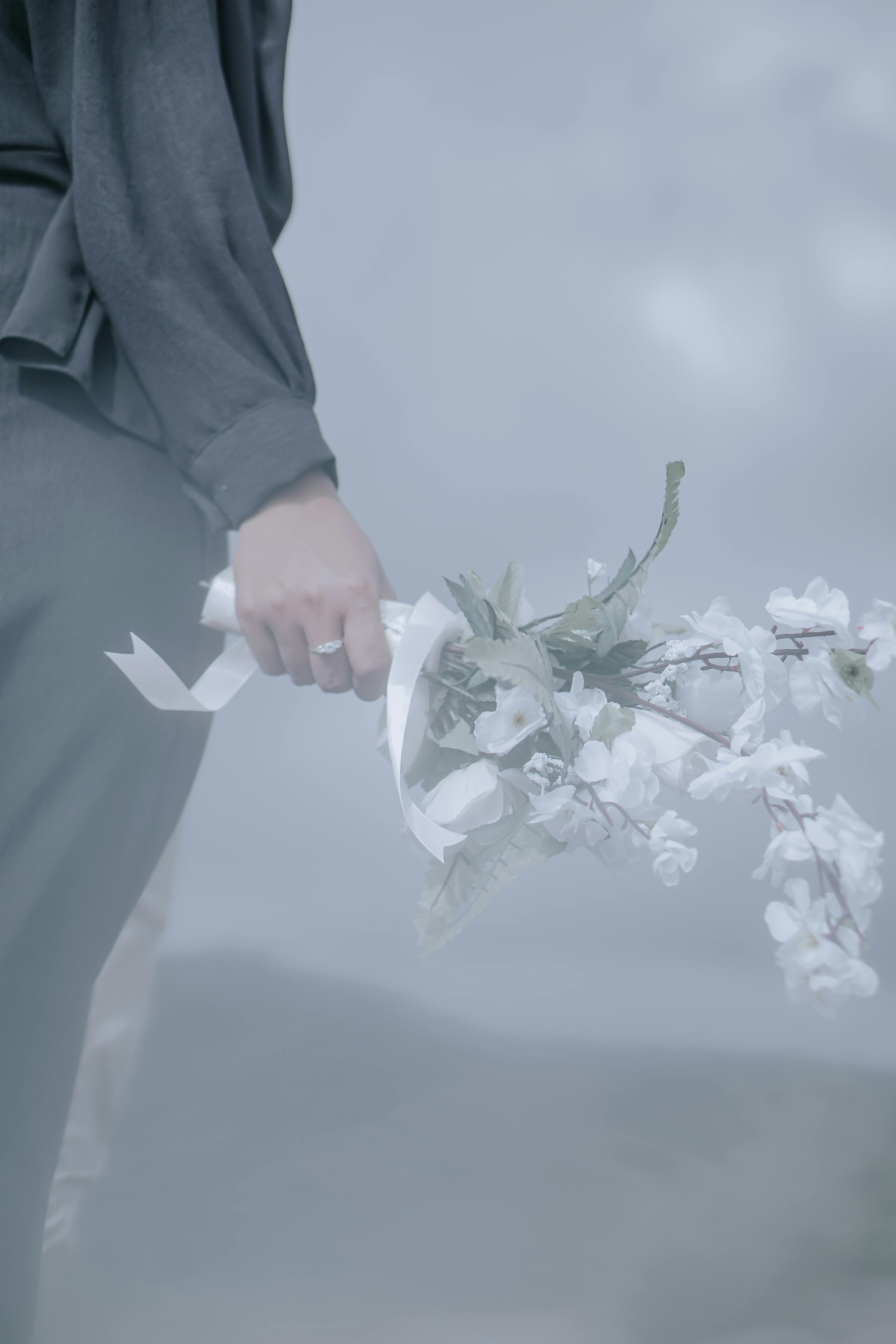 Person holding Roses · Free Stock Photo