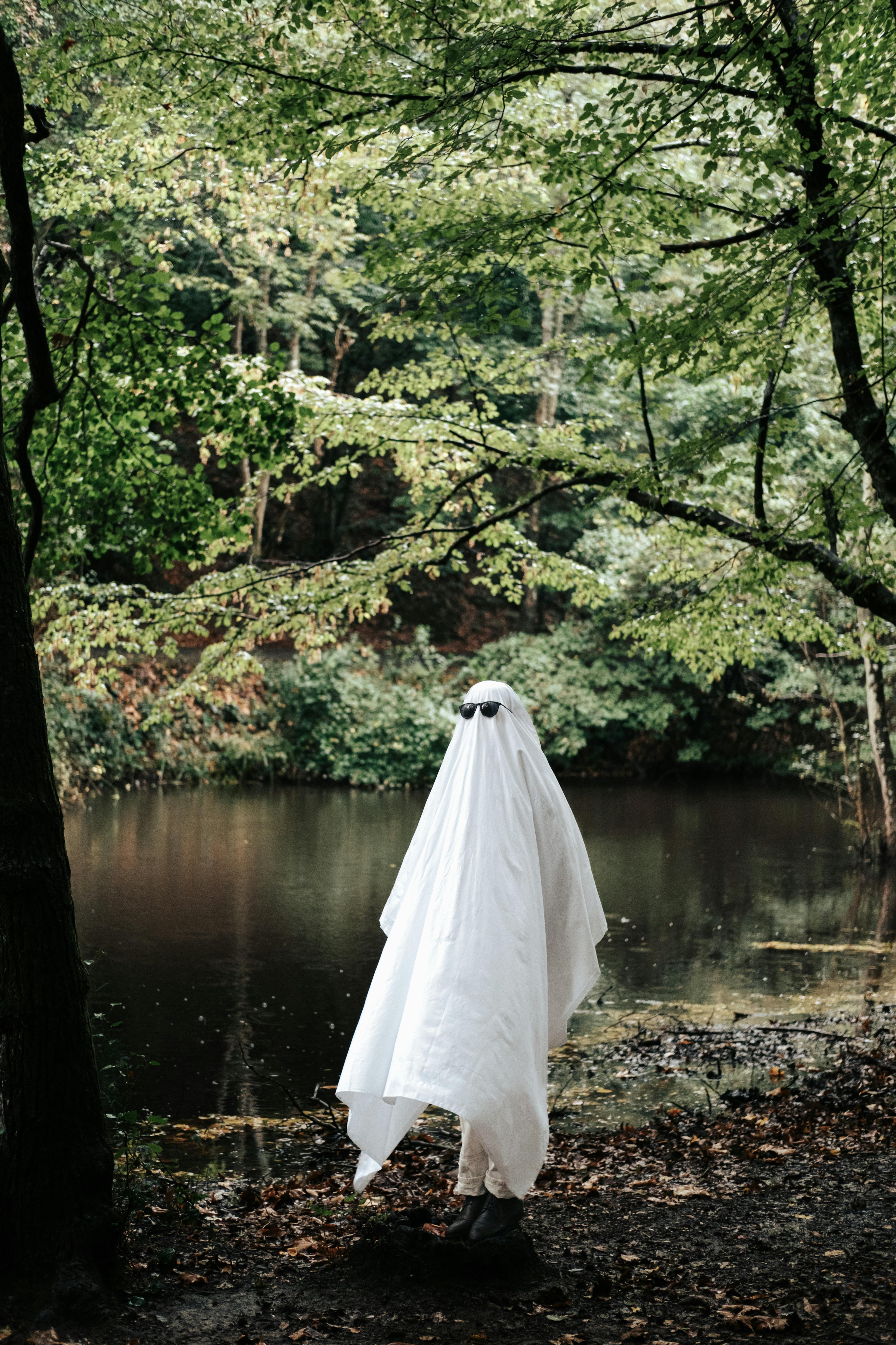 A Ghost Hiding Behind a Tree · Free Stock Photo