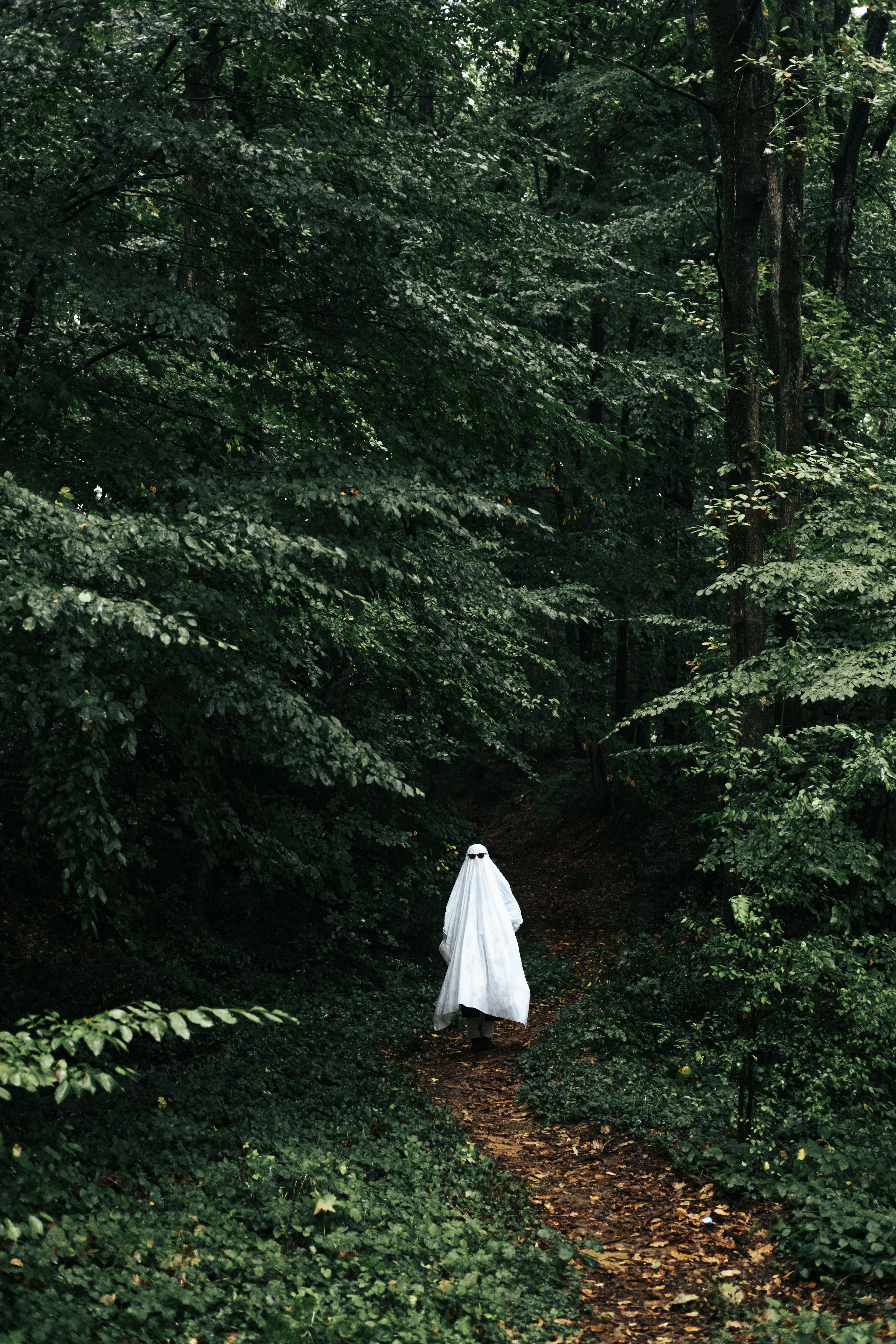 Strange Trails Photos, Download The BEST Free Strange Trails Stock ...