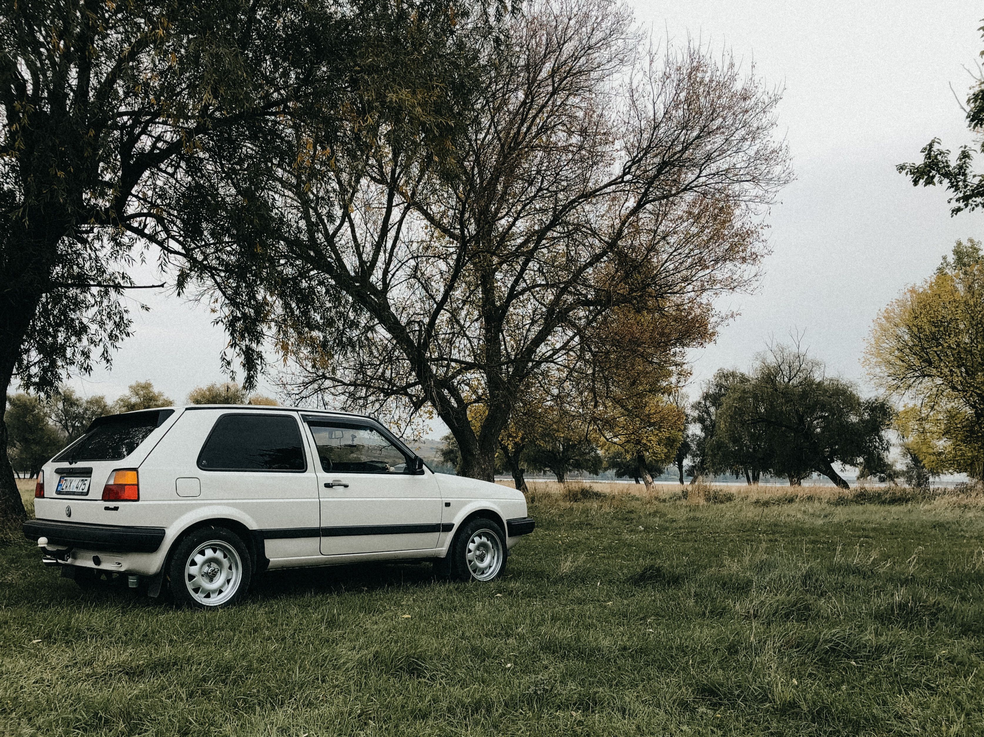 Volkswagen Car on Grass · Free Stock Photo