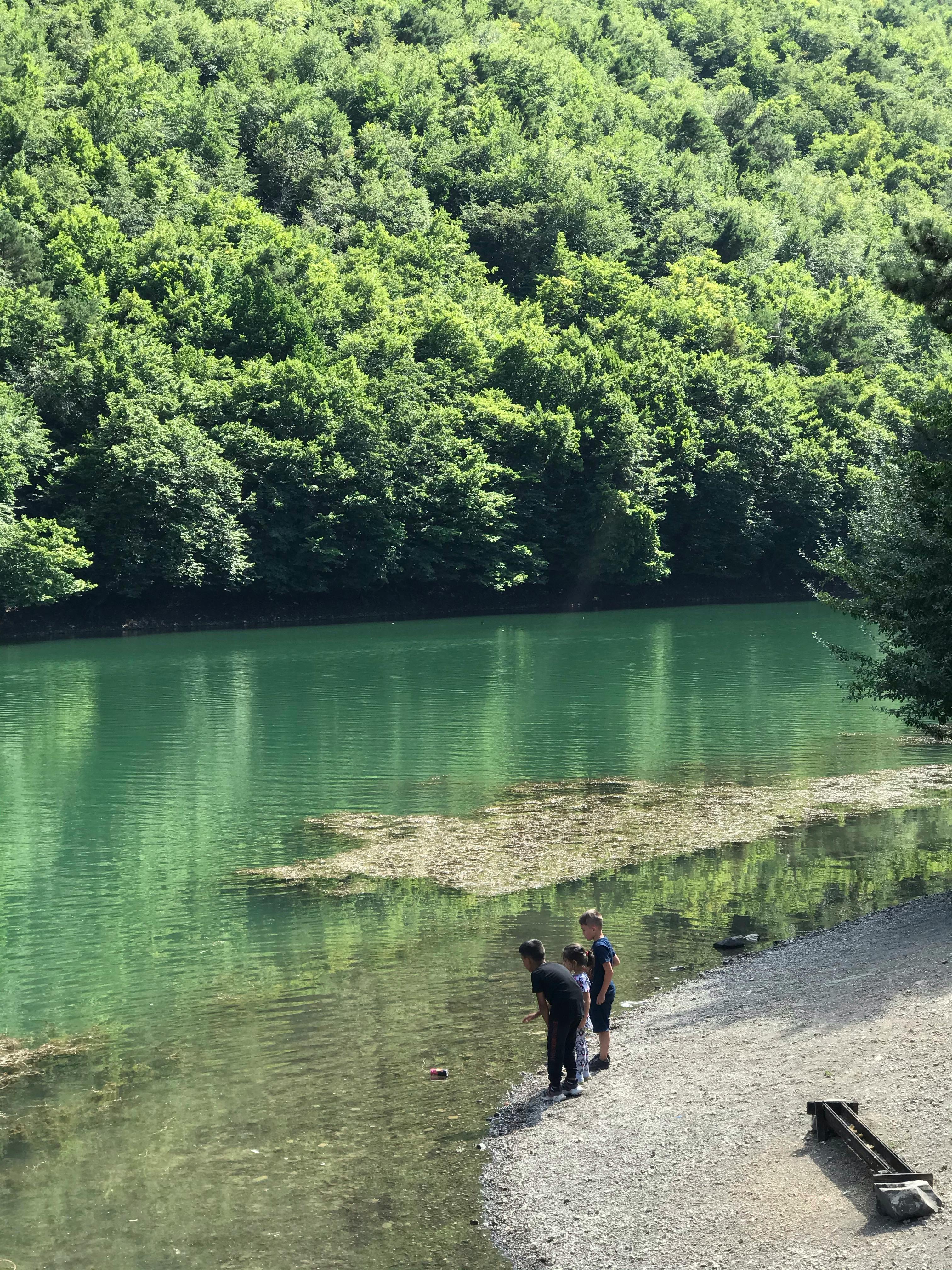 Children Standing on a Riverbank · Free Stock Photo