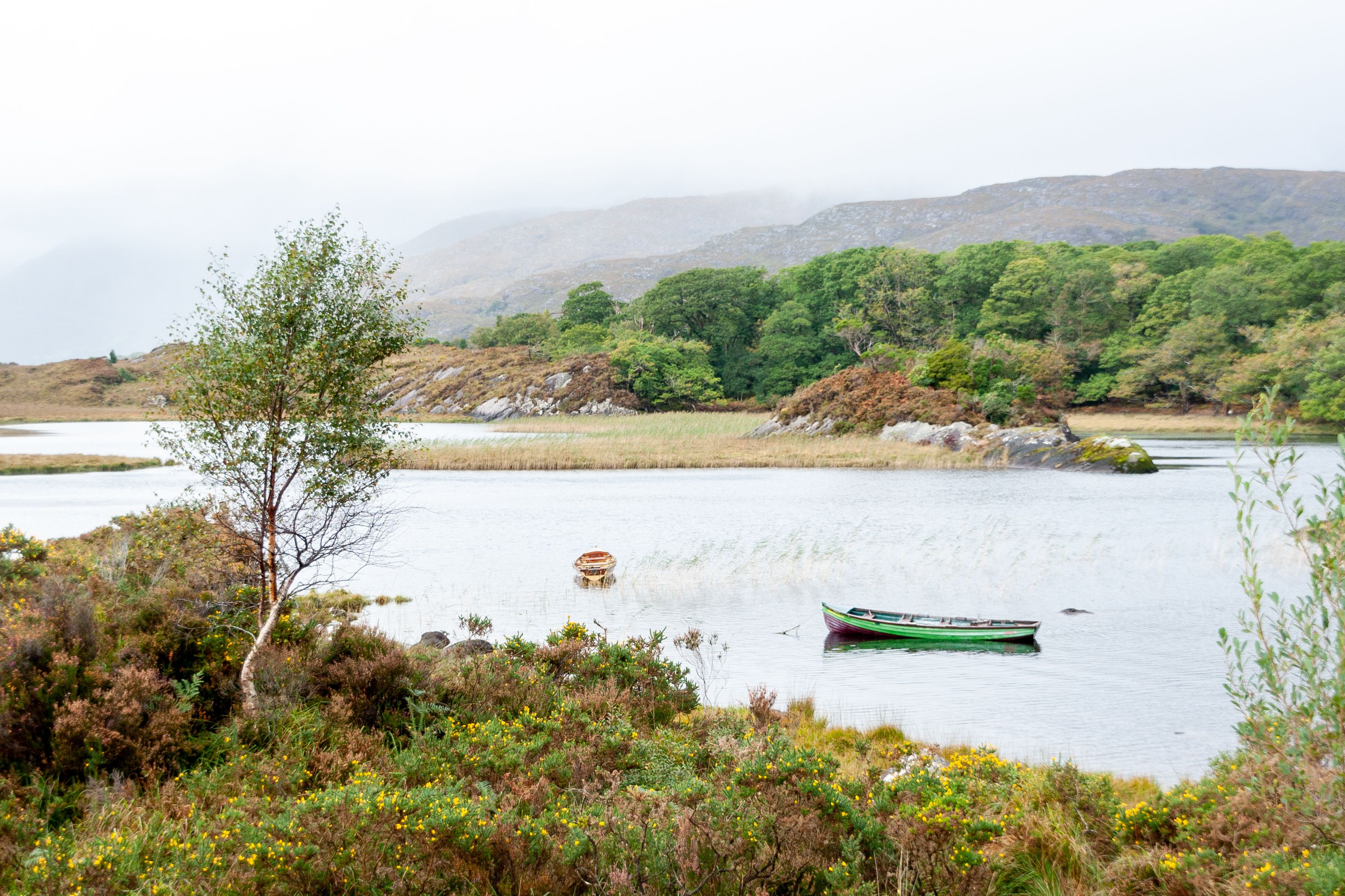 Doo Lough Photos, Download Free Doo Lough Stock Photos & HD Images