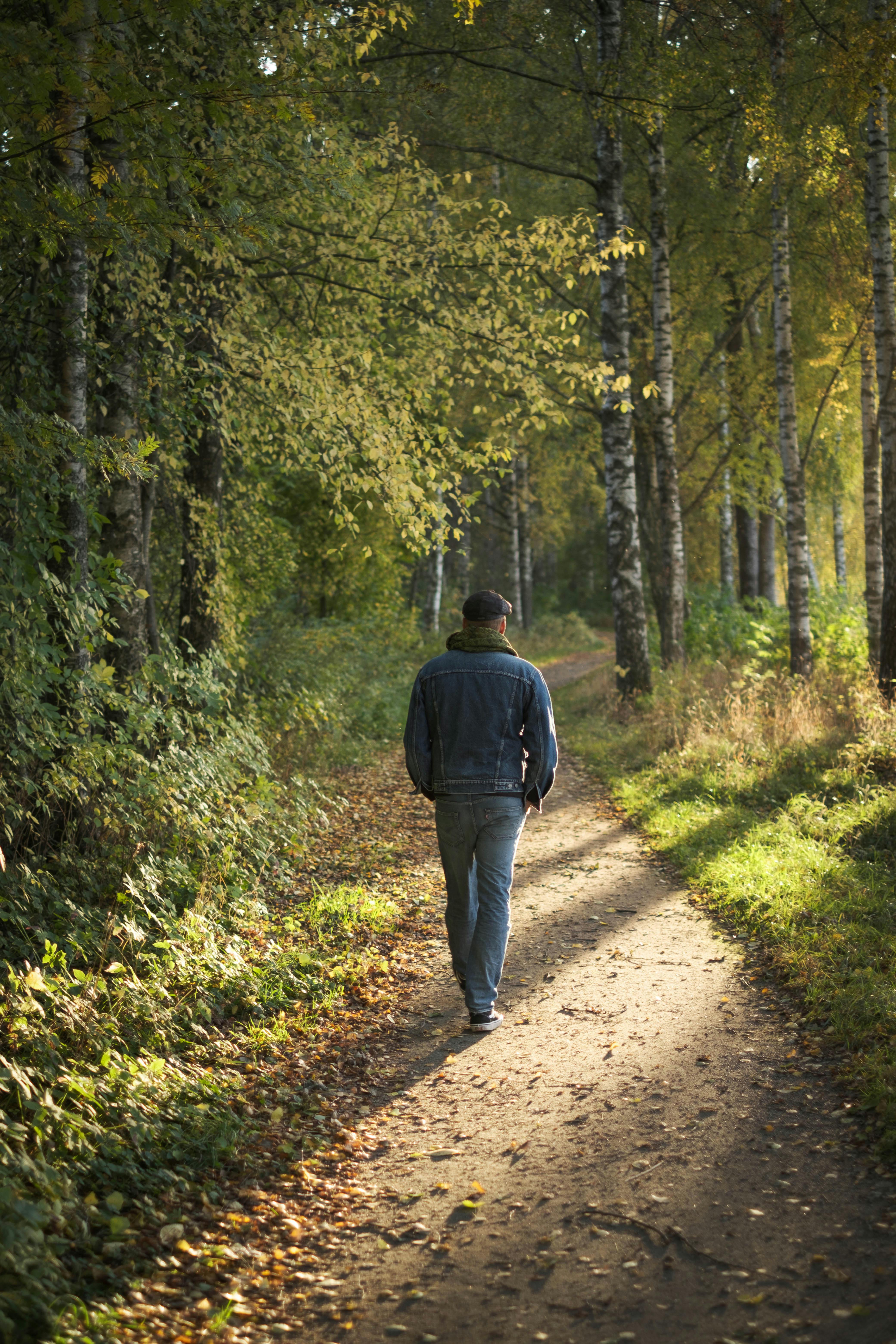 A Man Walking on a Pathway Between Green Trees · Free Stock Photo
