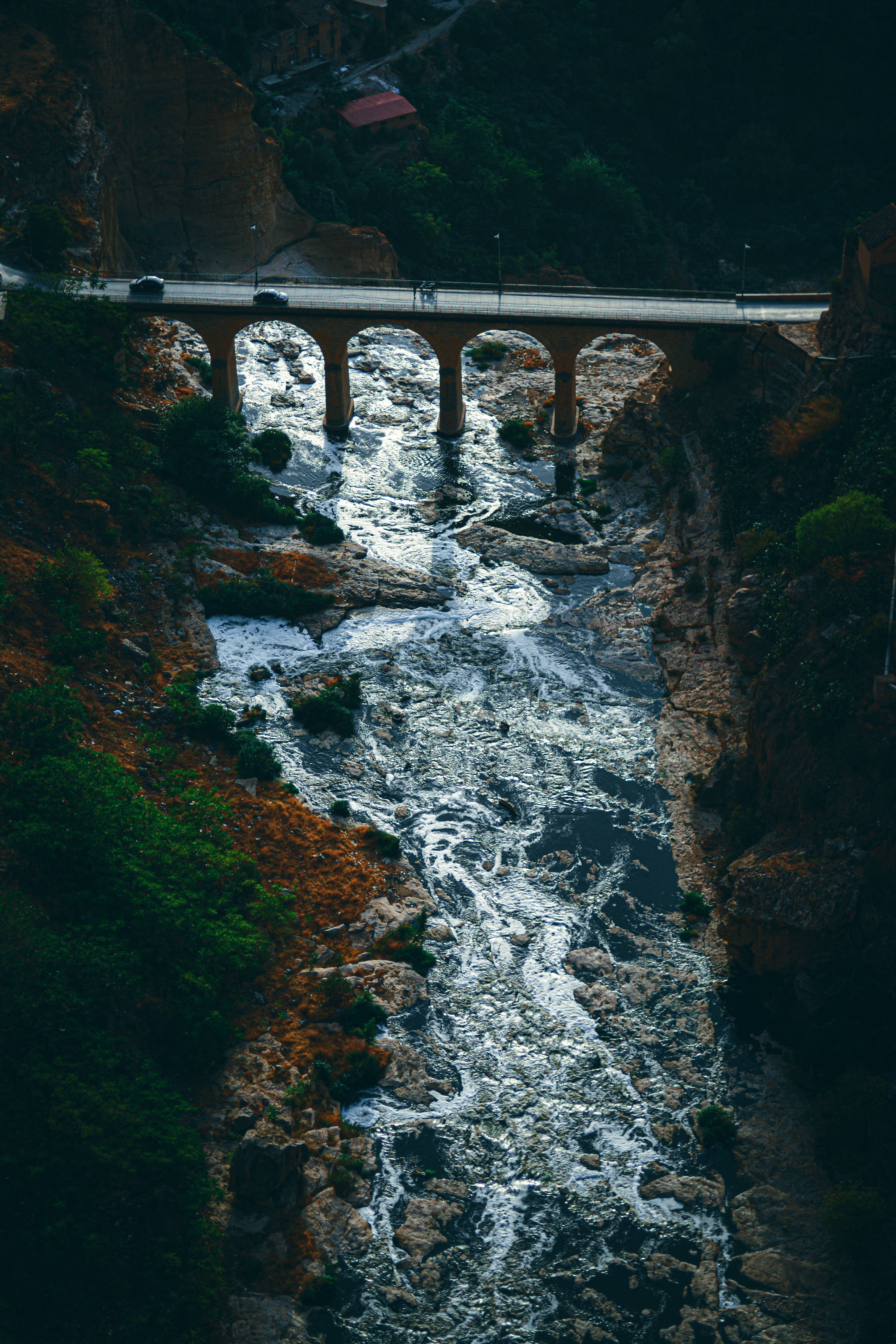 Bridge over Wild River · Free Stock Photo