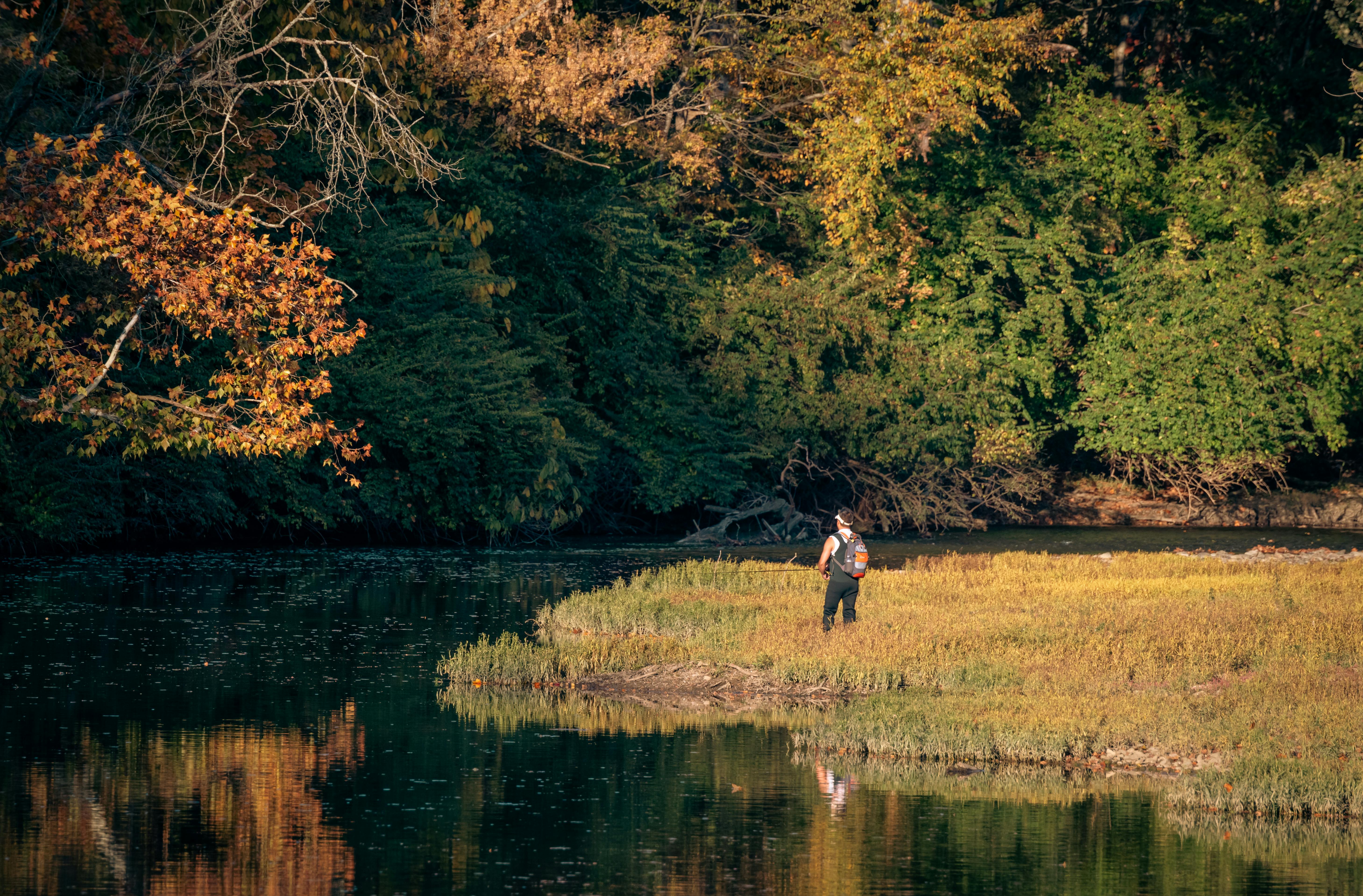 Person Standing Beside a River · Free Stock Photo