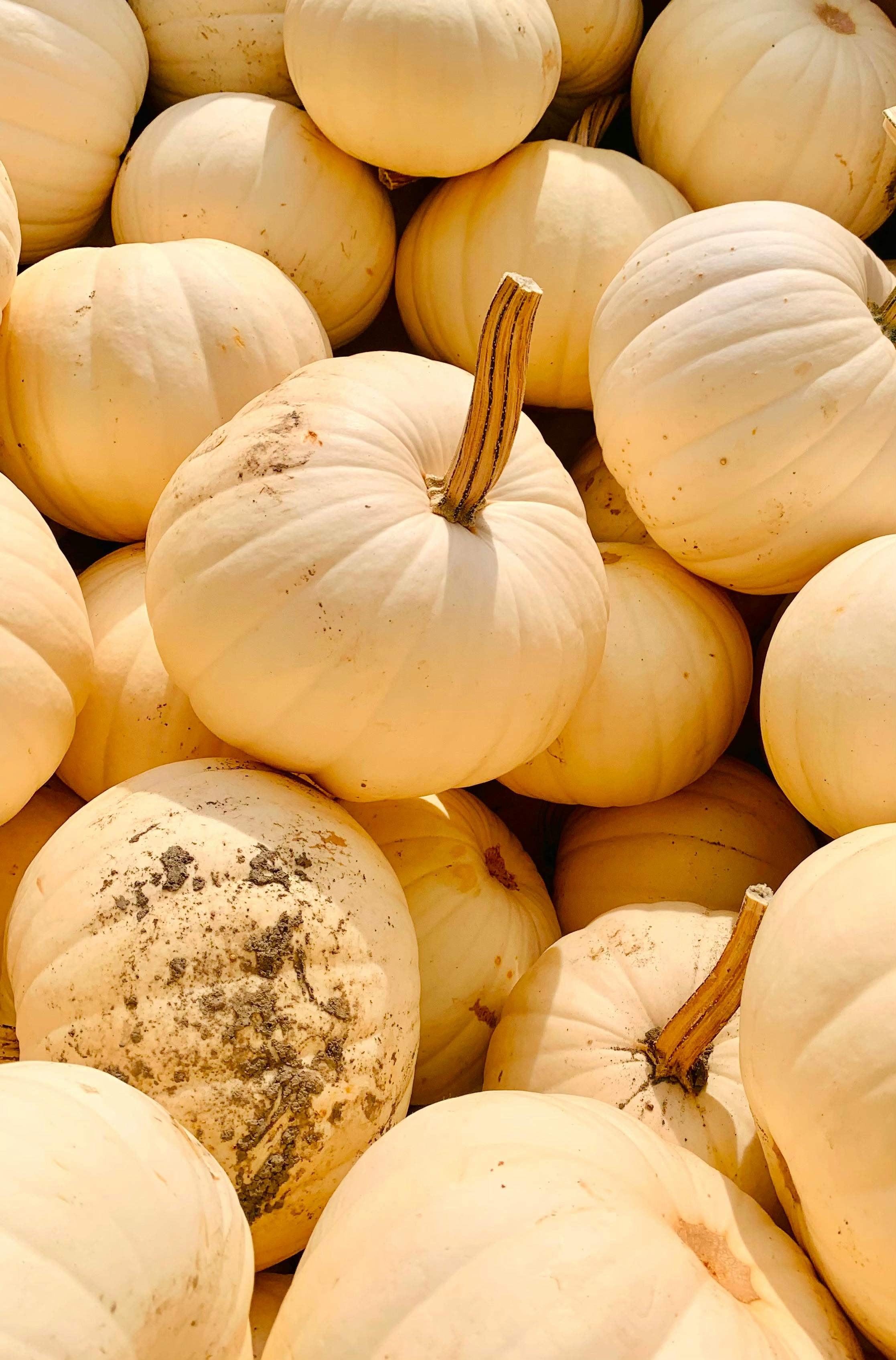 Pale Vegetable Photos, Download The BEST Free Pale Vegetable Stock ...