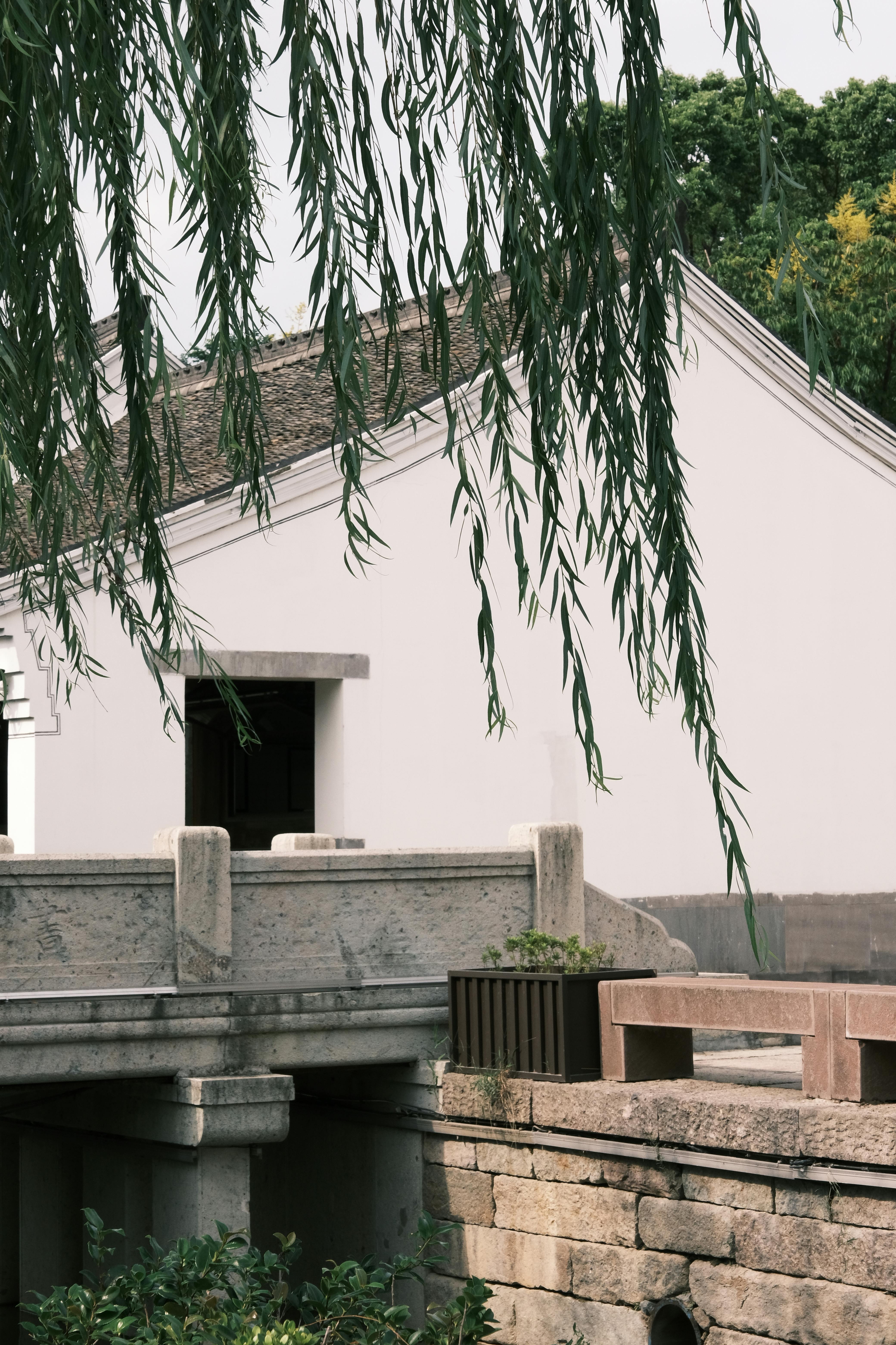 Exterior of a House with Terrace and Willow Branches in front of the ...