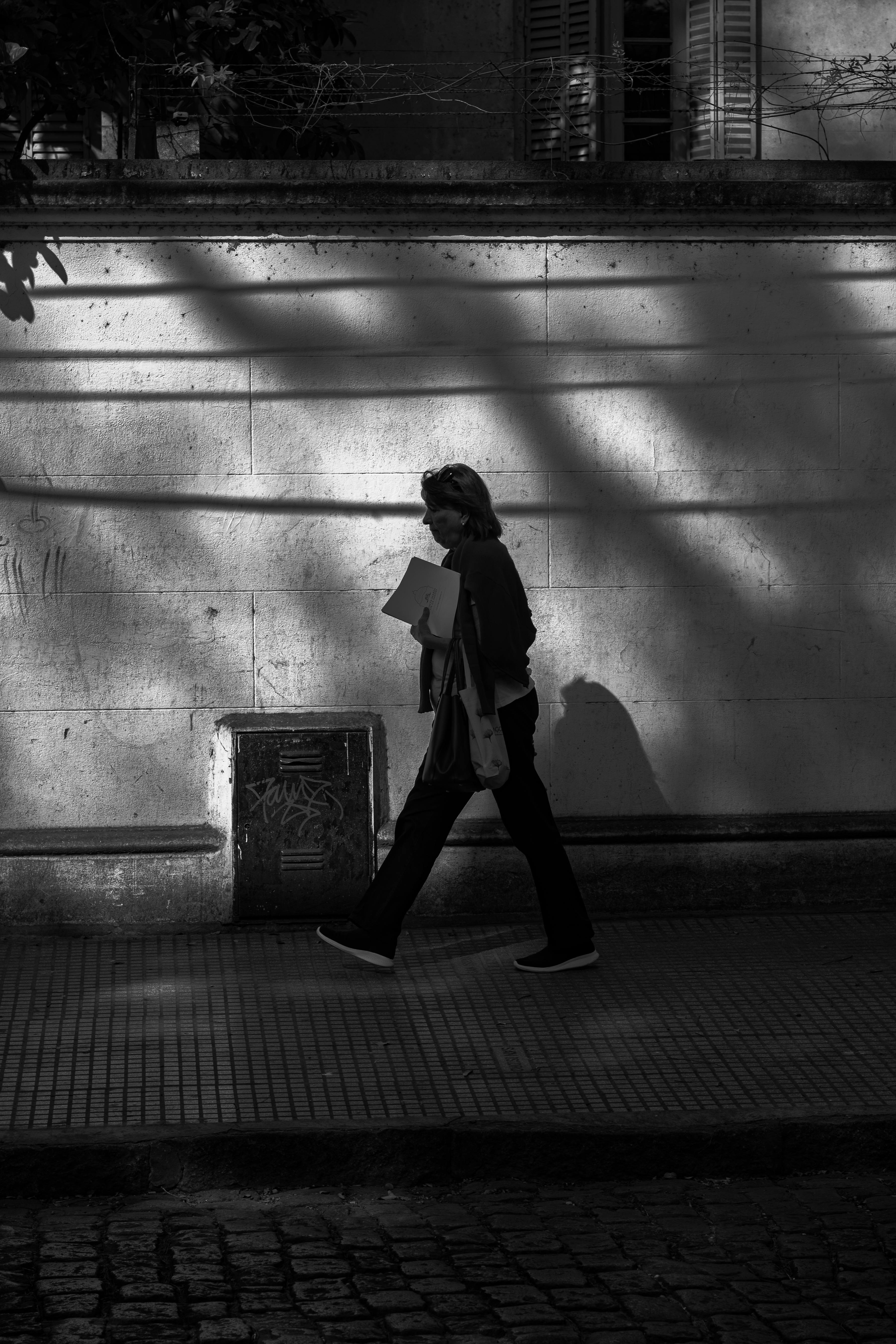 Woman Face in Light and Shadow in Dark · Free Stock Photo