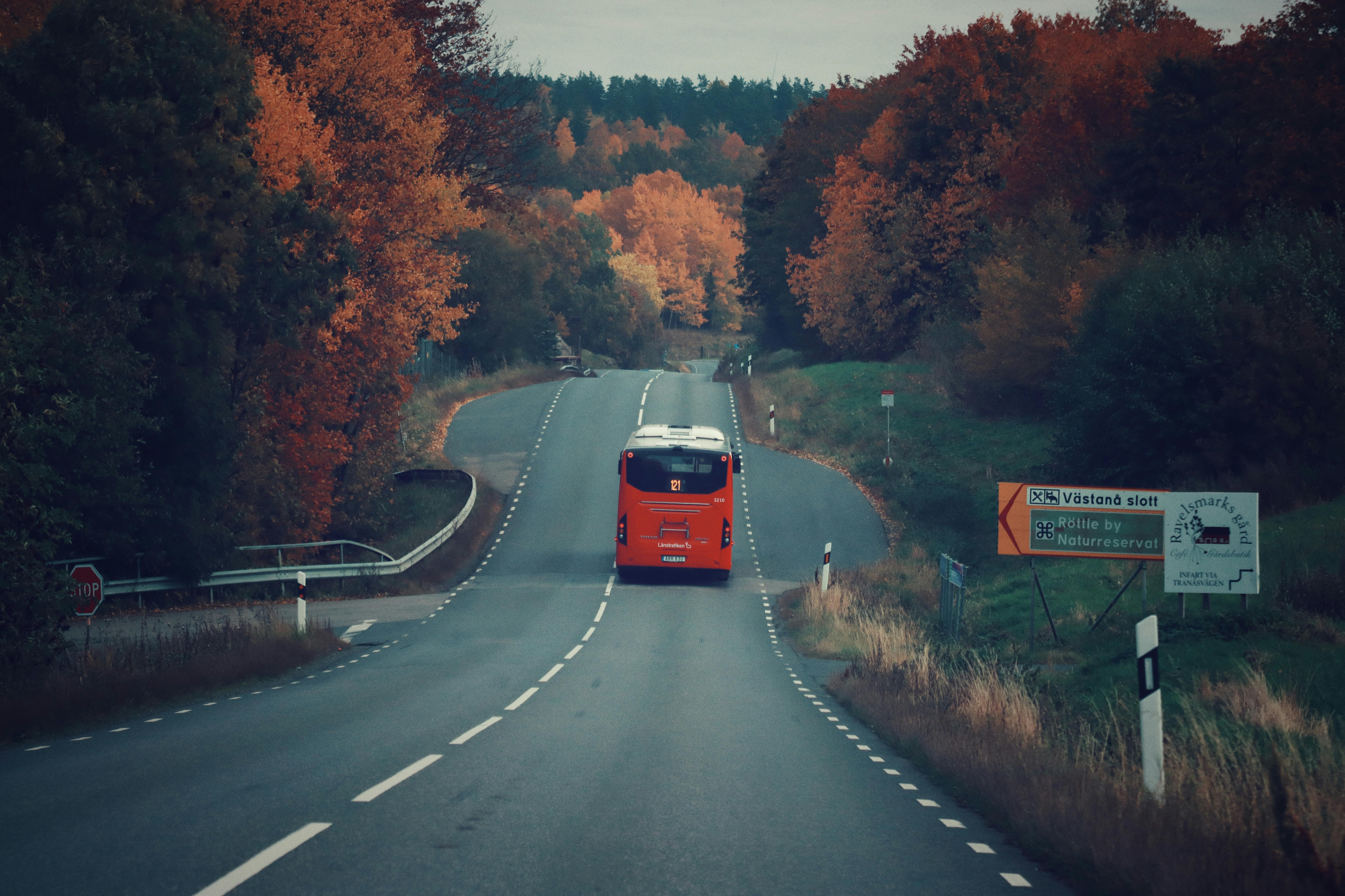 Red Bus on the Road · Free Stock Photo
