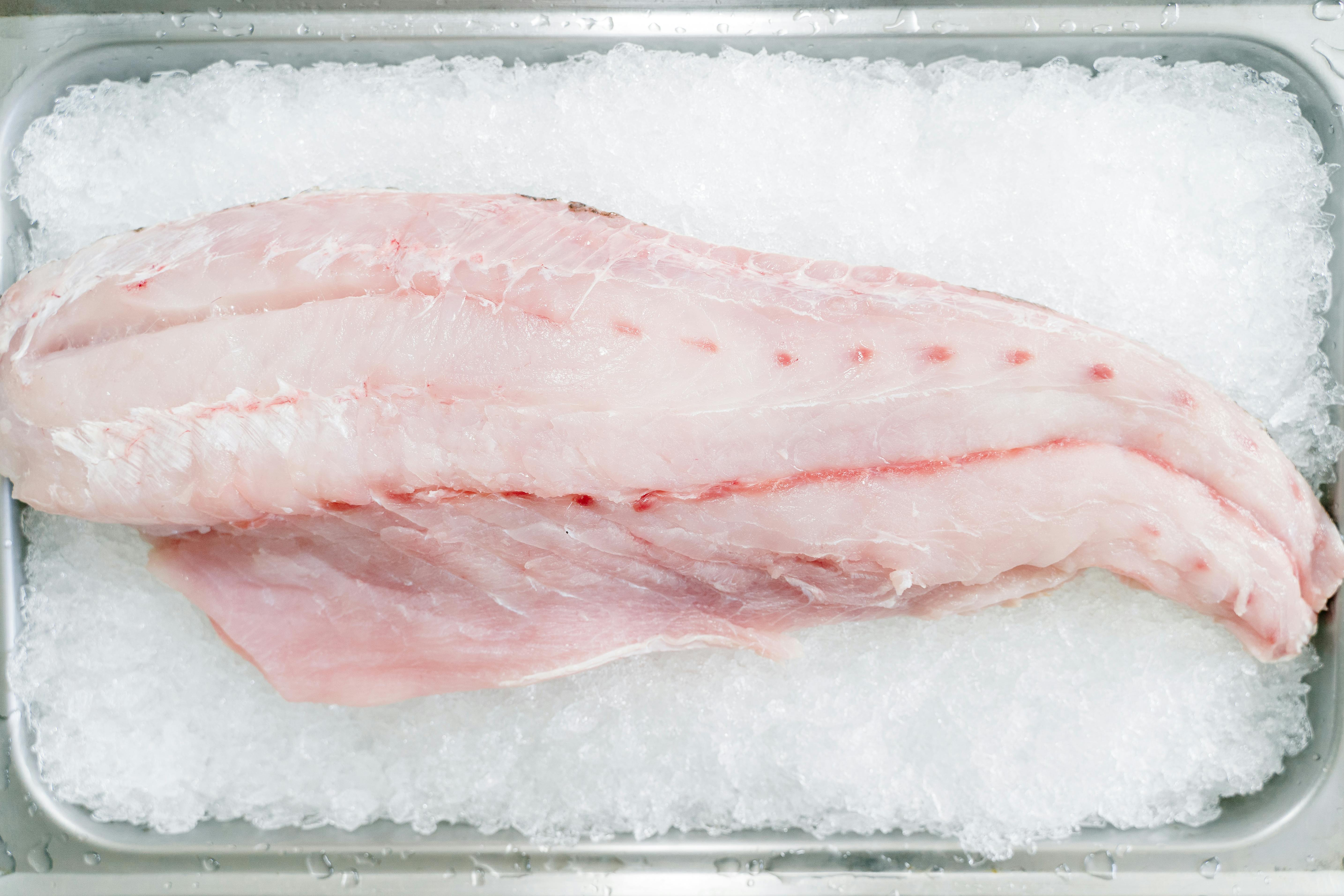 Fish Fillets in Ice · Free Stock Photo