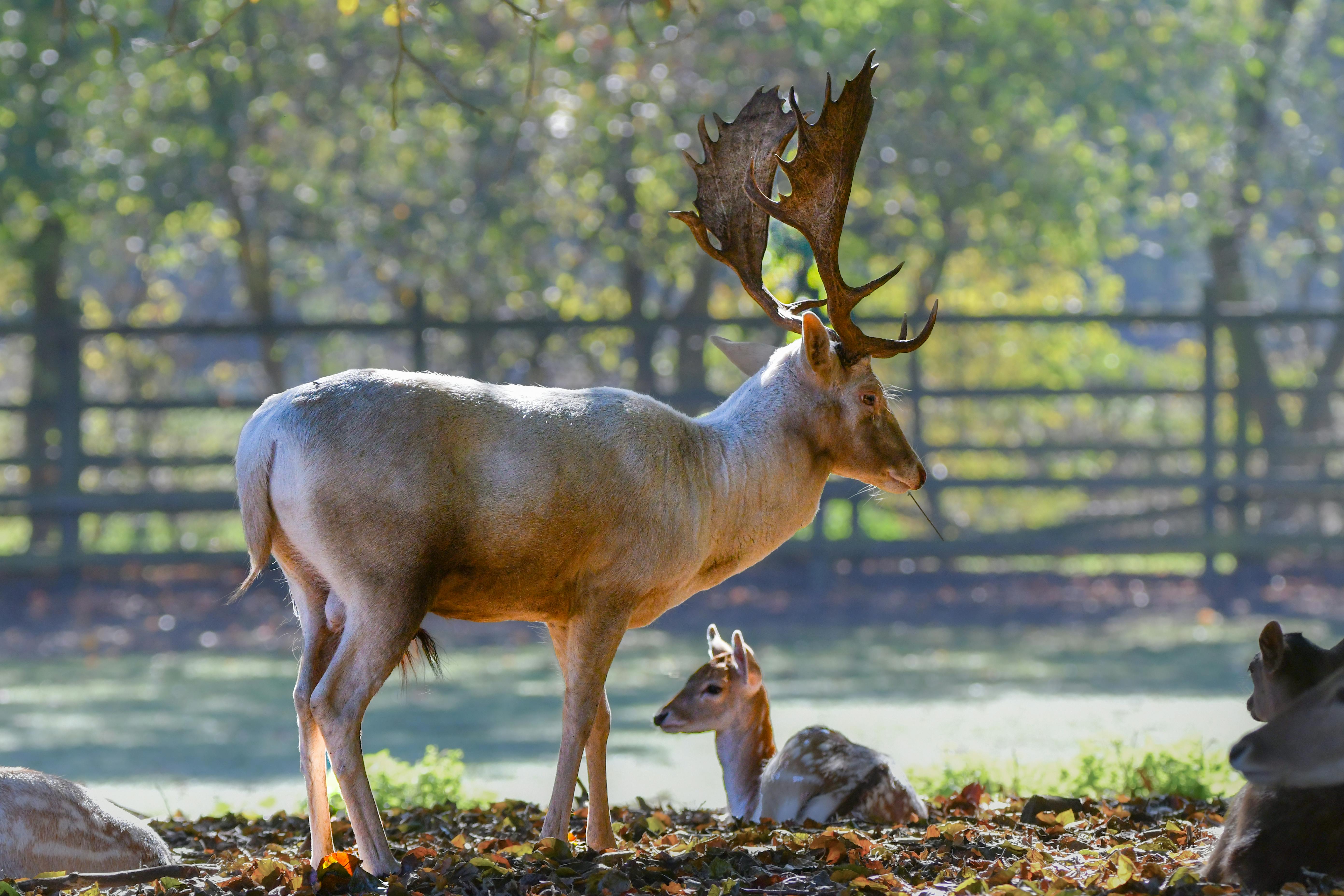 John Deer Photos, Download The BEST Free John Deer Stock Photos & HD Images