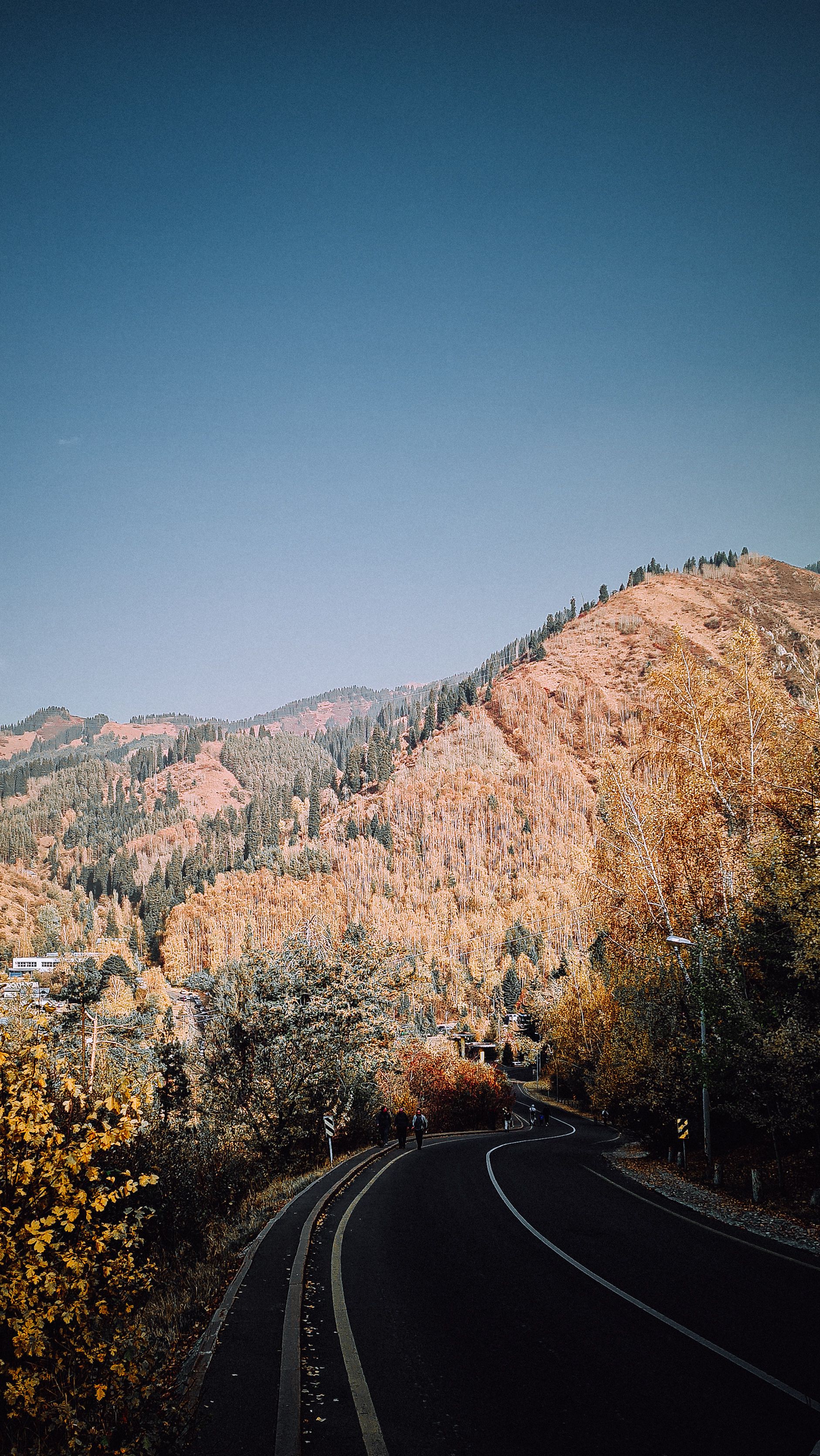 Photo of a Narrow Road · Free Stock Photo
