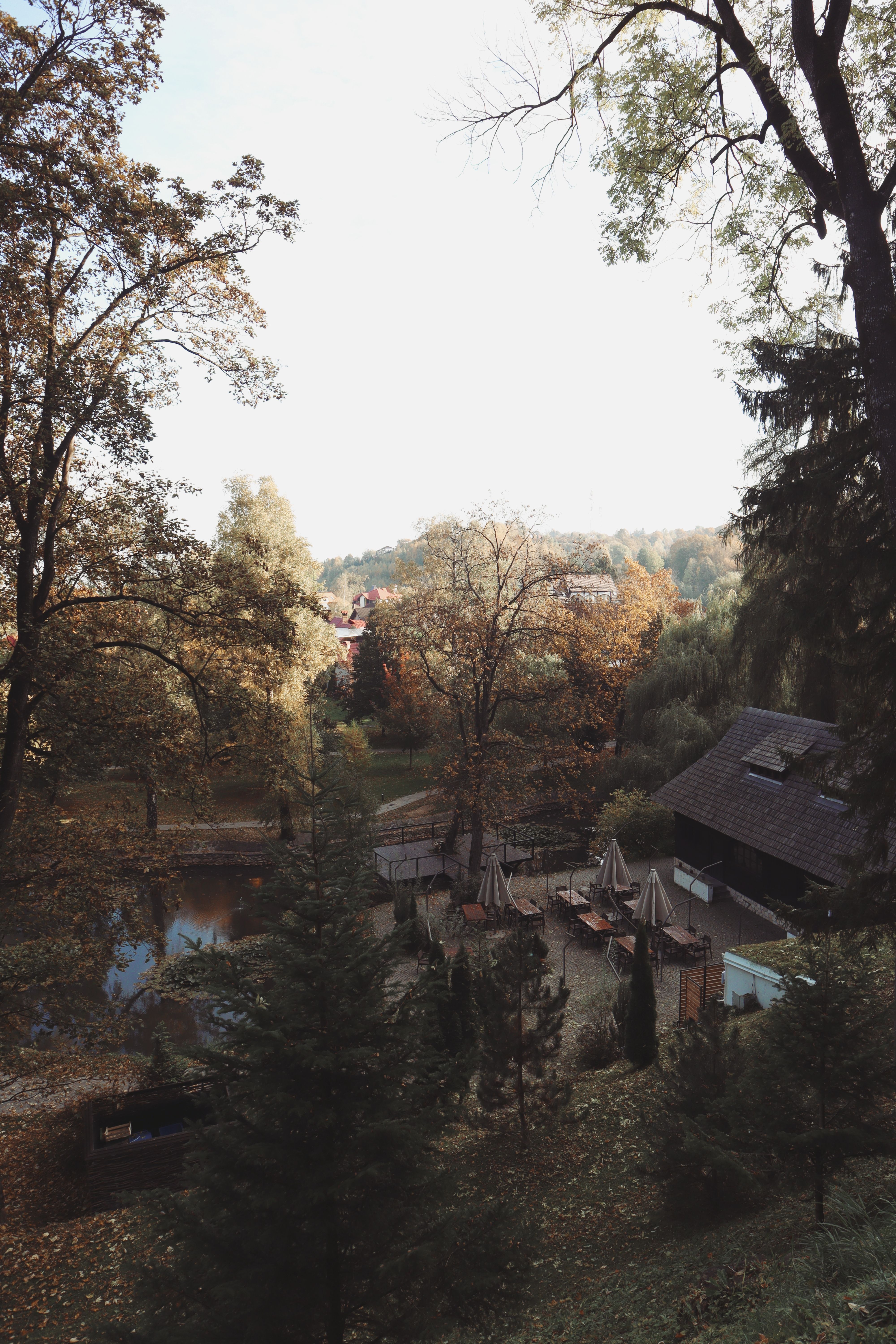 Table In The Wilderness Photos, Download The BEST Free Table In The ...