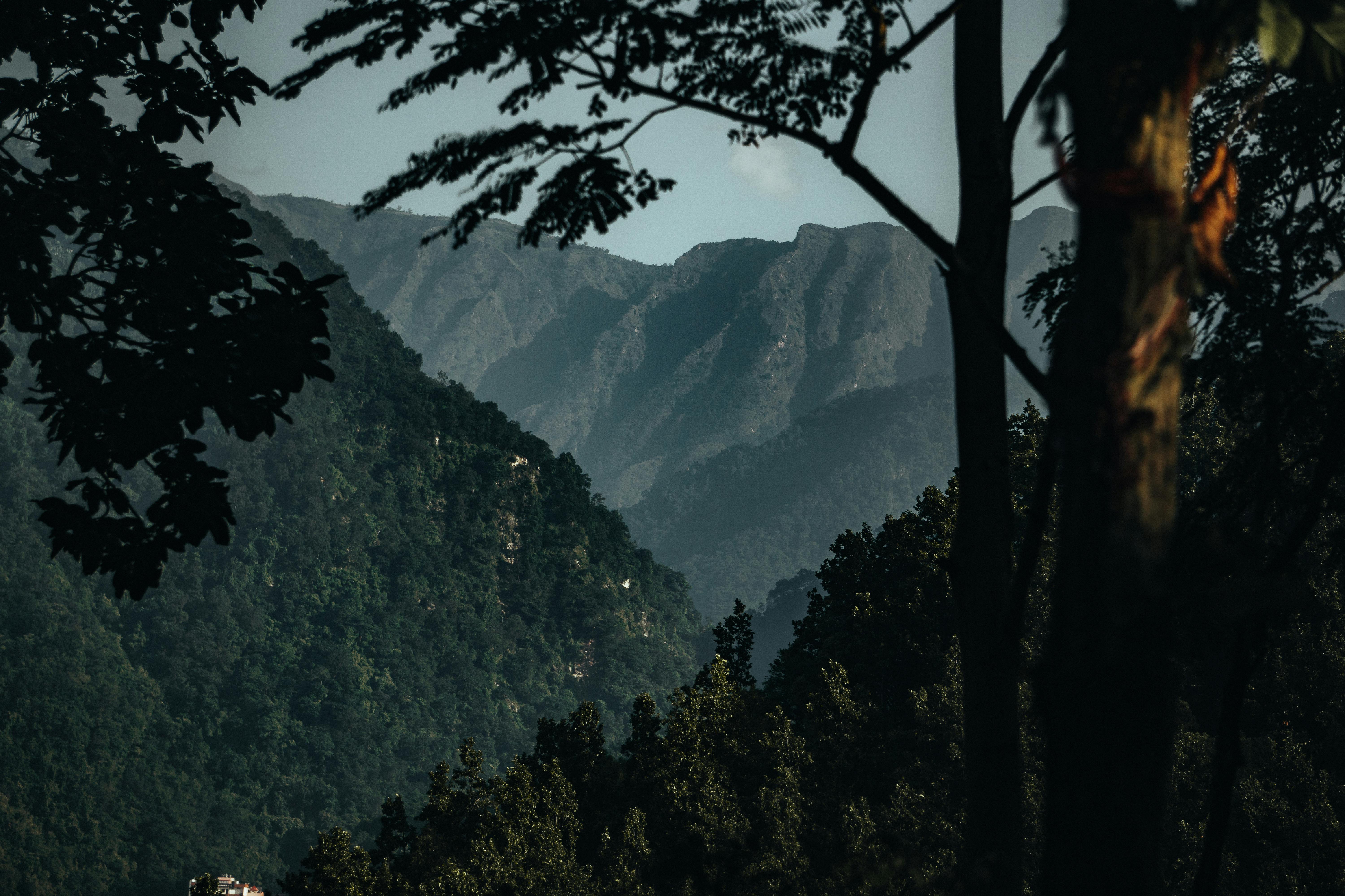 Green Trees on Mountains · Free Stock Photo