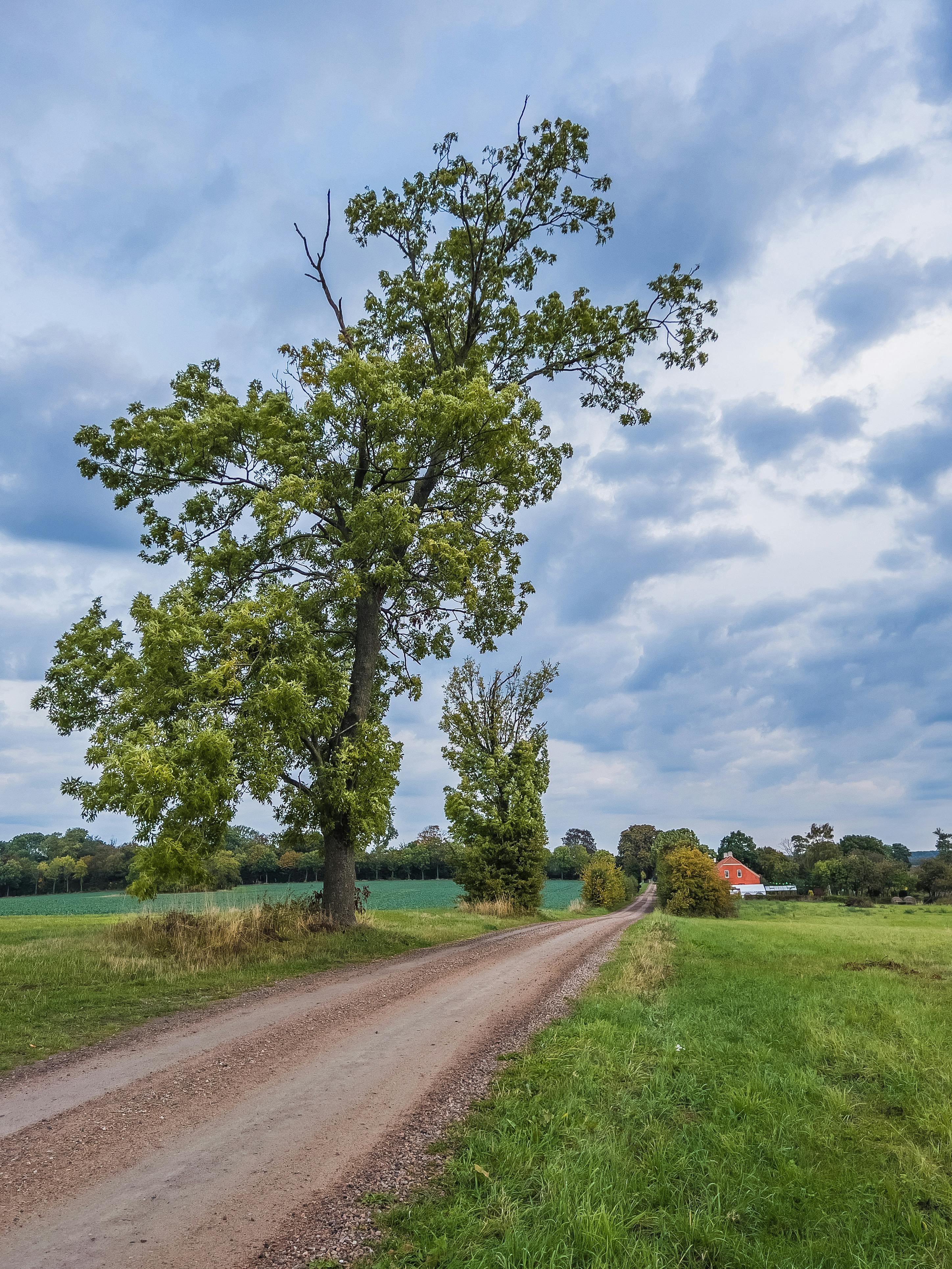 An Unpaved Road in a Countryside · Free Stock Photo