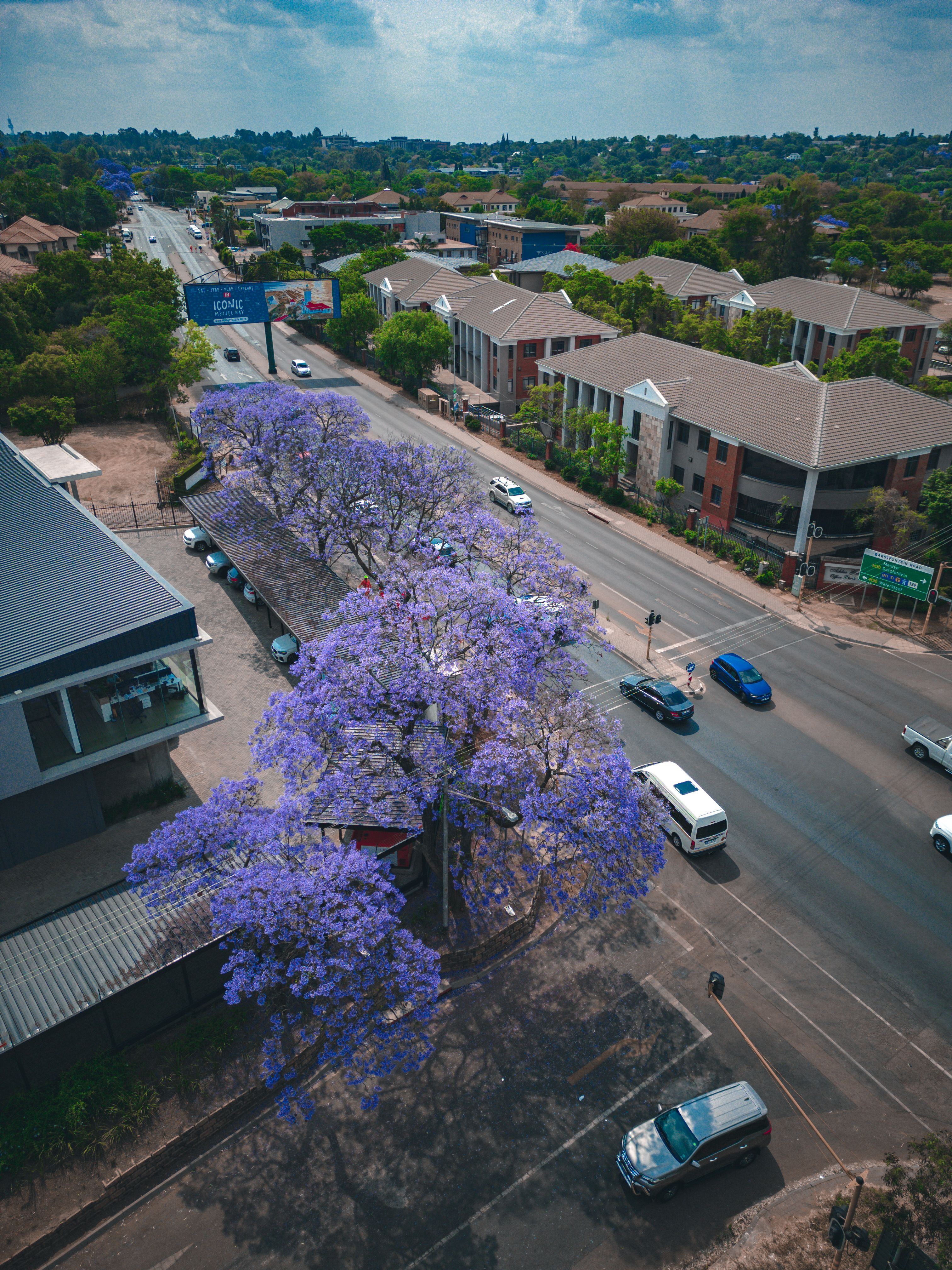 Aerial Photography of Moving Cars on the Road Between Concrete ...