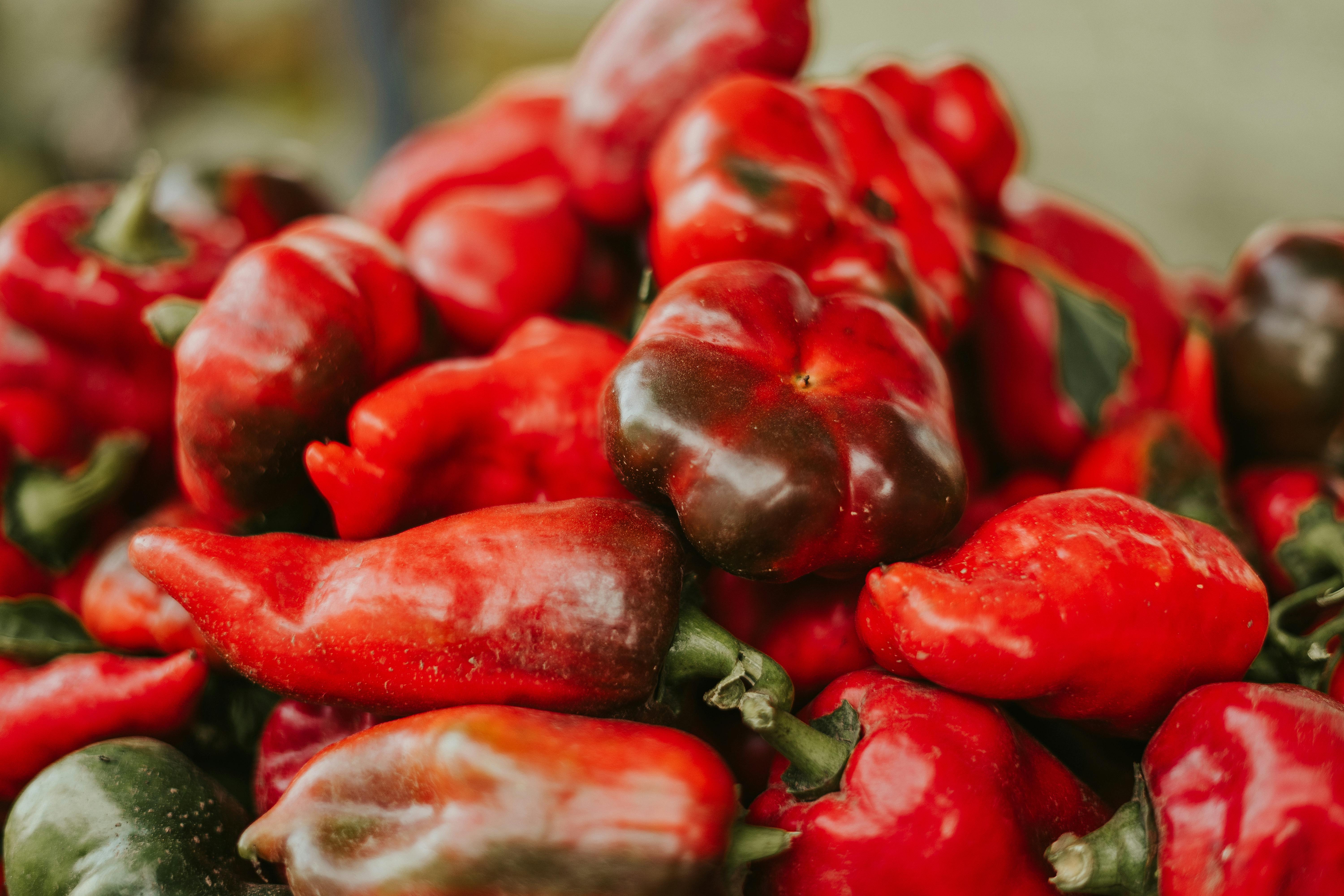Red Bell Peppers in Tilt Shift Lens · Free Stock Photo