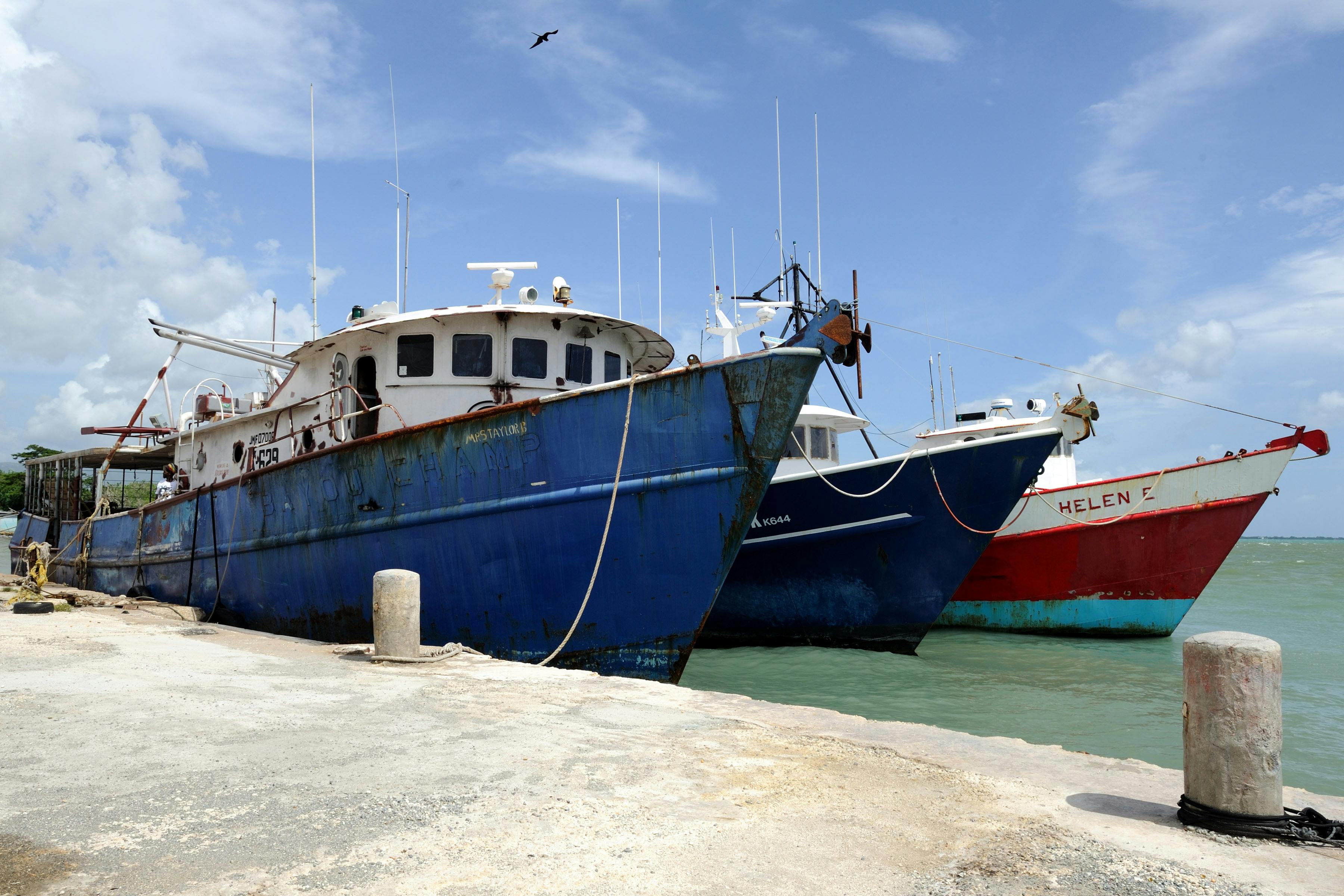 White and Brown Boat on Dock · Free Stock Photo