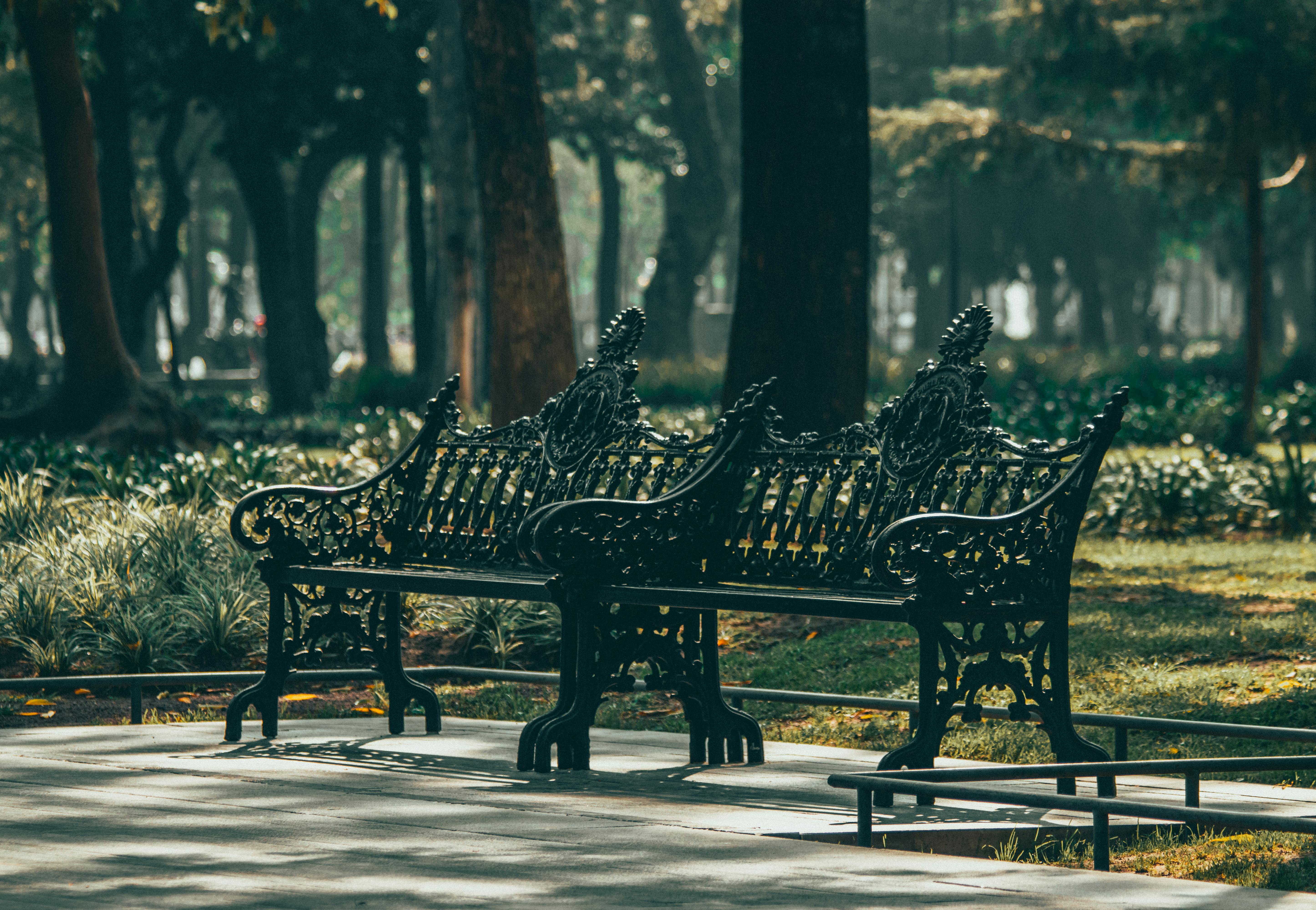 Black Benches in the Park · Free Stock Photo