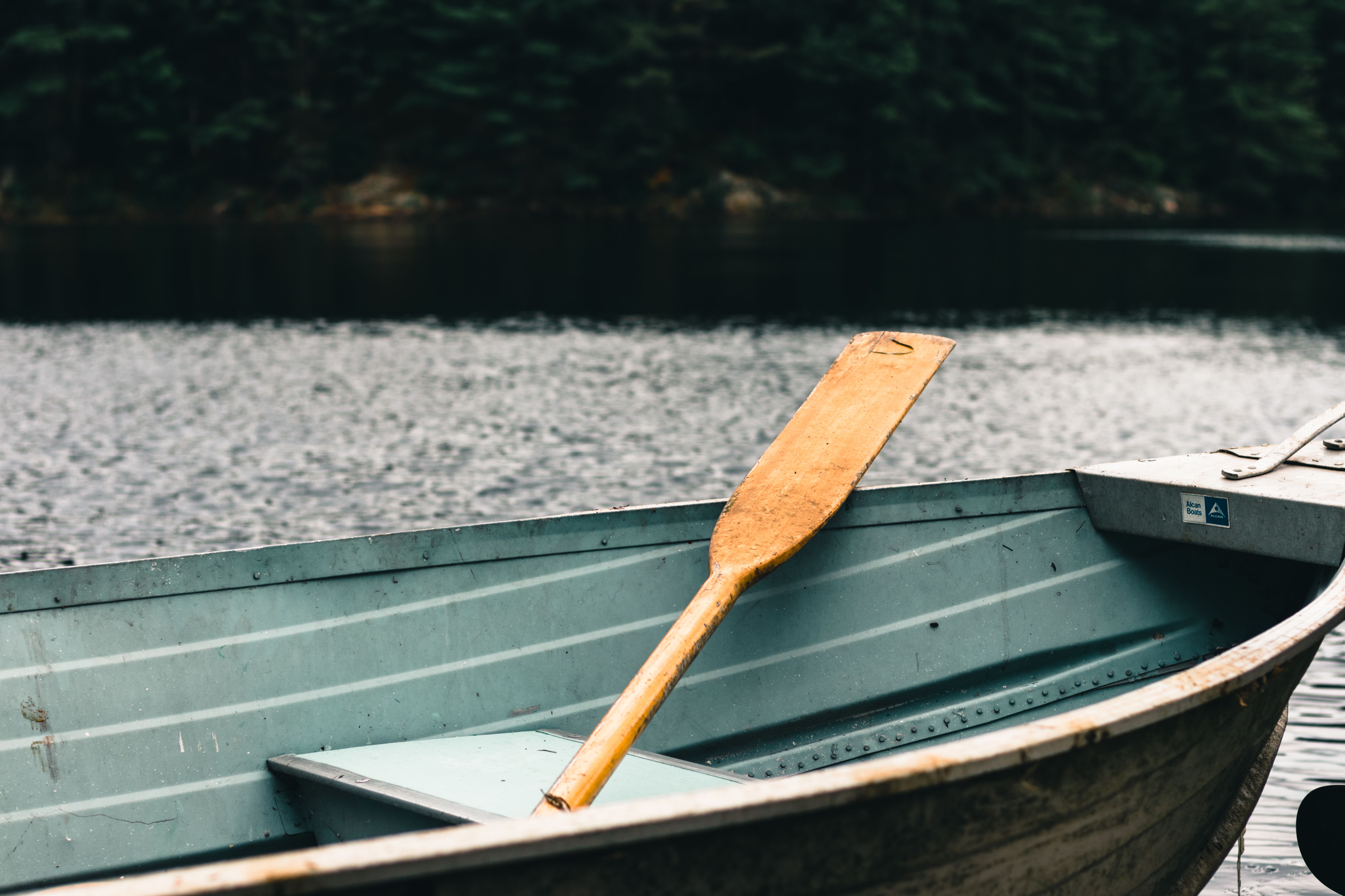 A Paddle on the Boat · Free Stock Photo