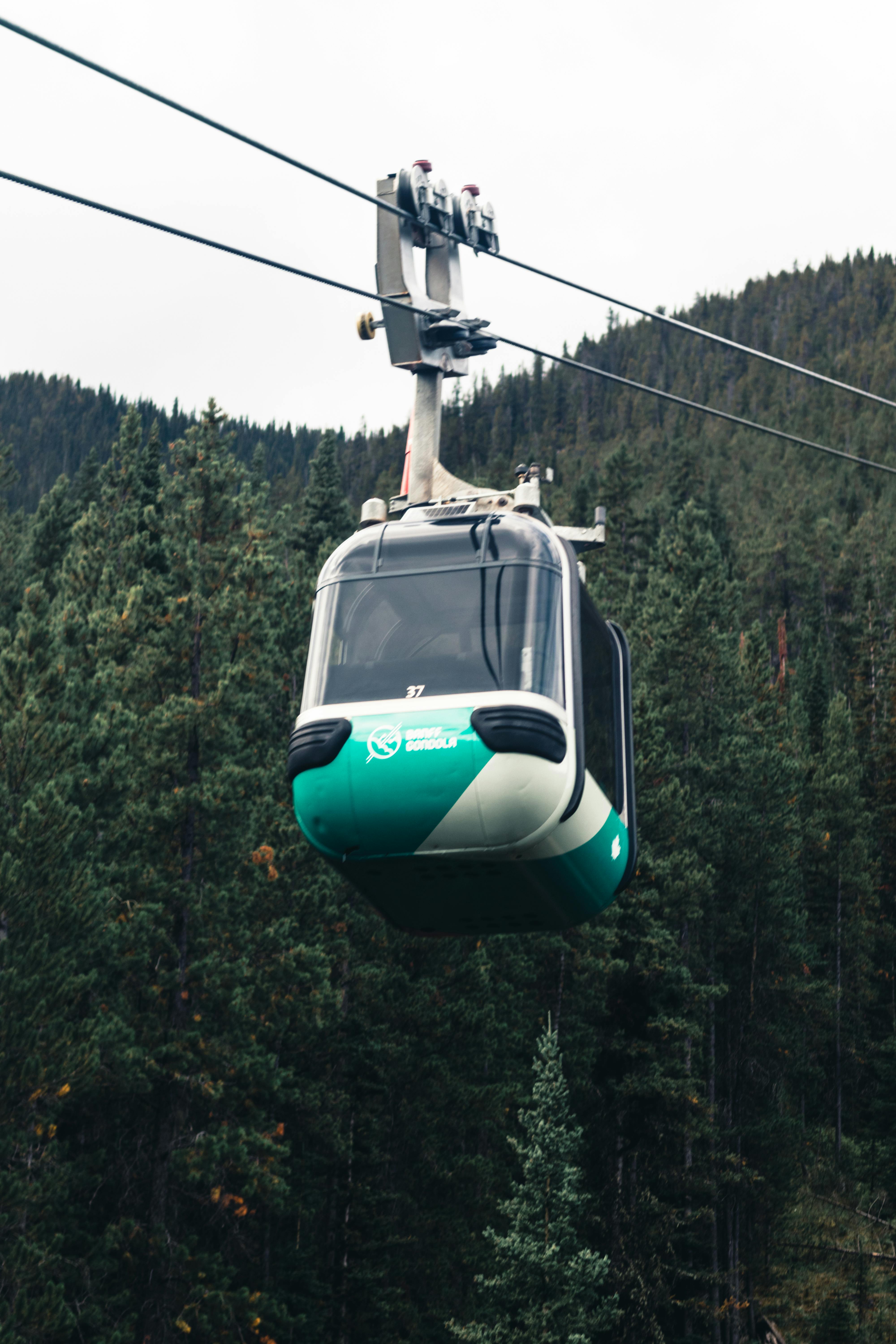 Green Cable Car Hanging Near Pine Trees · Free Stock Photo