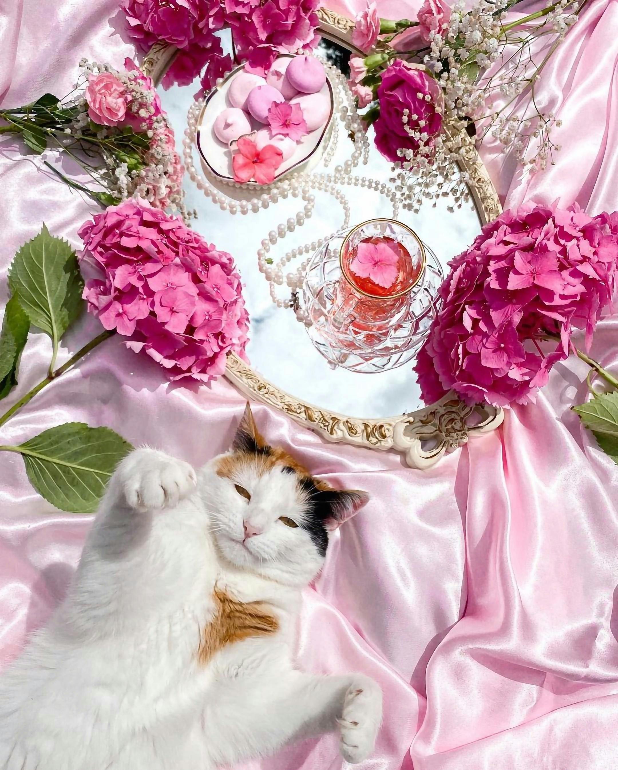 Fry Cute Exotiques Photos, Download Free Fry Cute Exotiques Stock ...