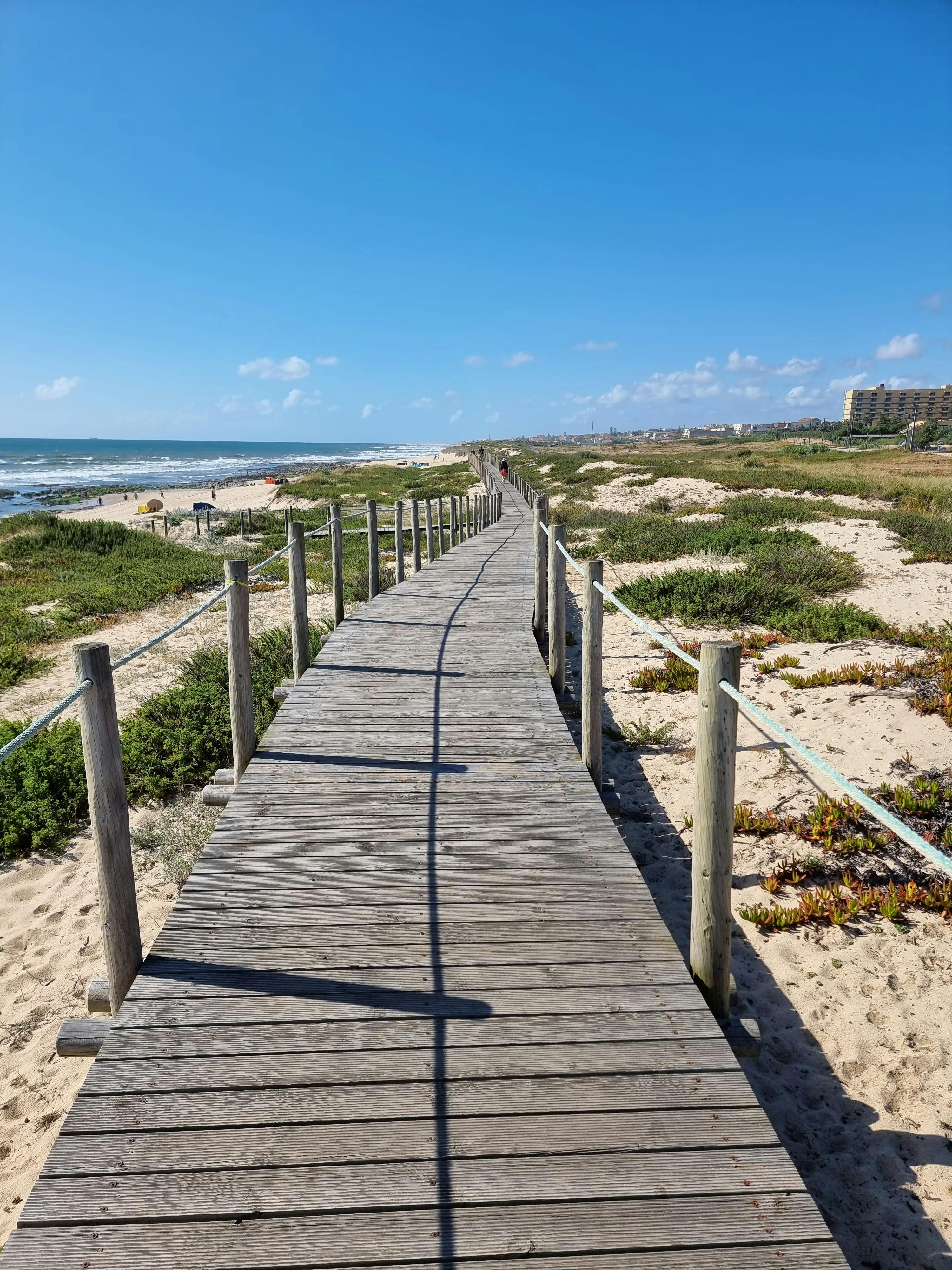 Wooden Dock on the Shore of a Beach · Free Stock Photo