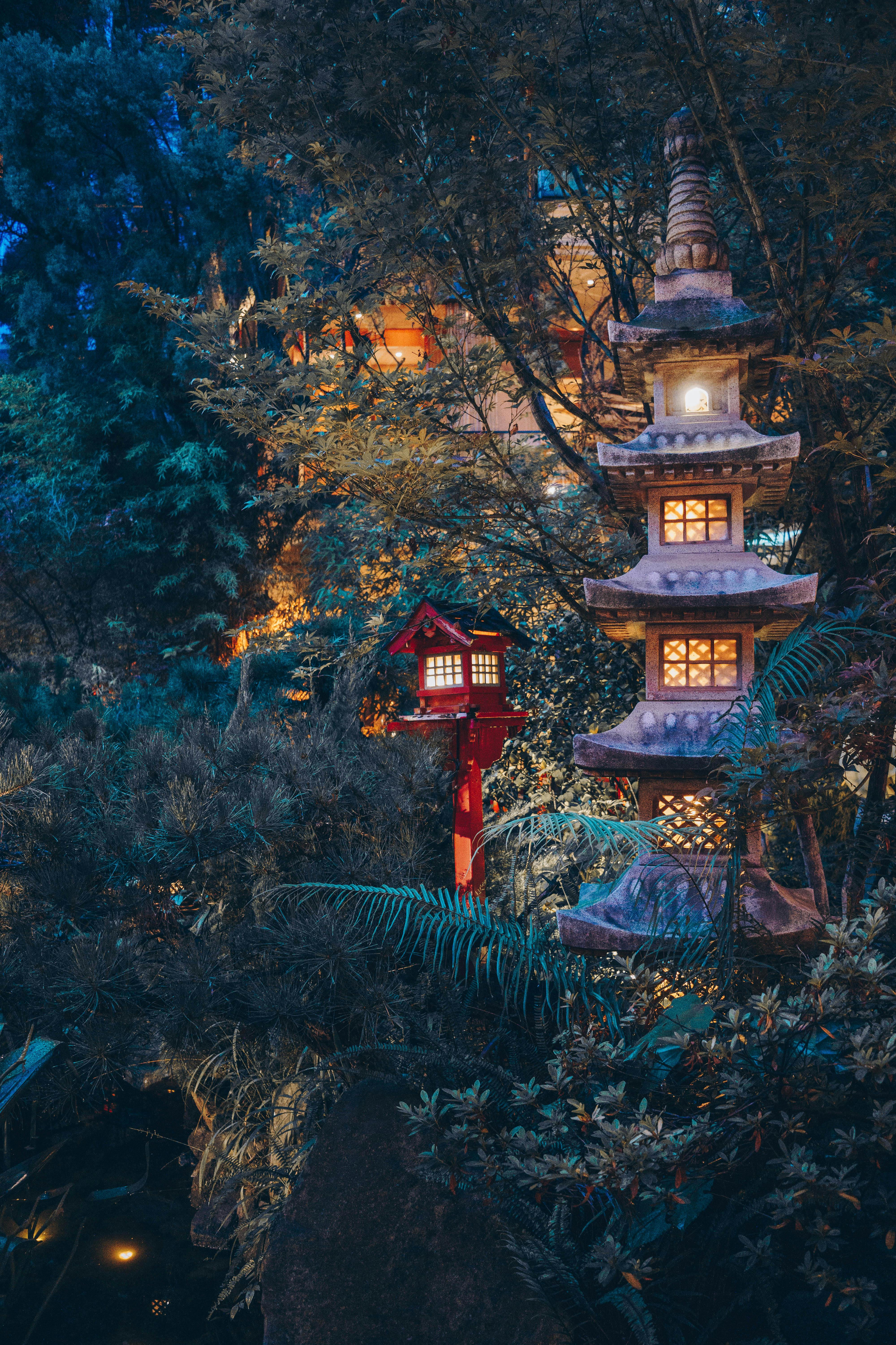 Traditional Asian Temple in a Forest · Free Stock Photo