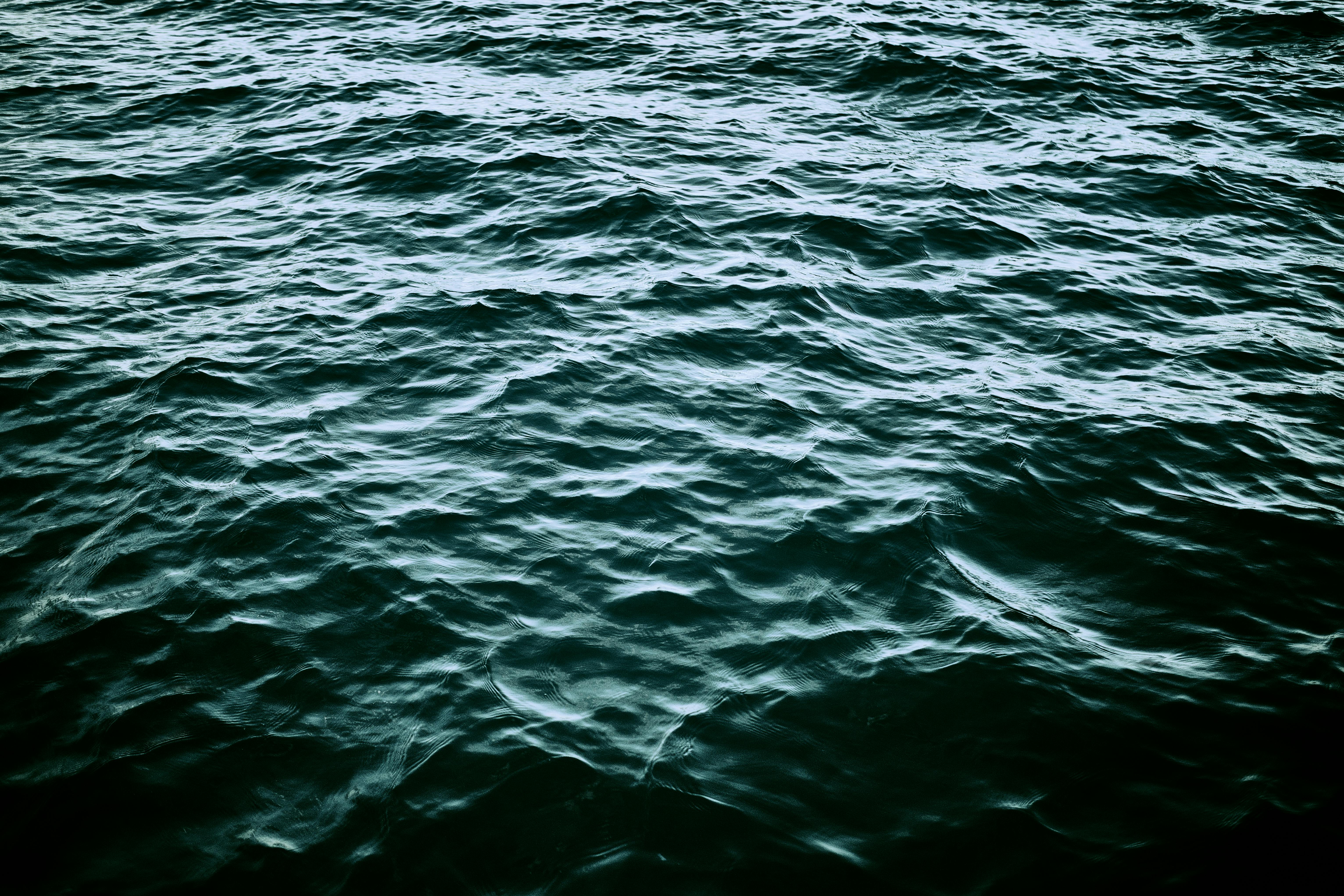 Photo of Calm Blue Ocean · Free Stock Photo