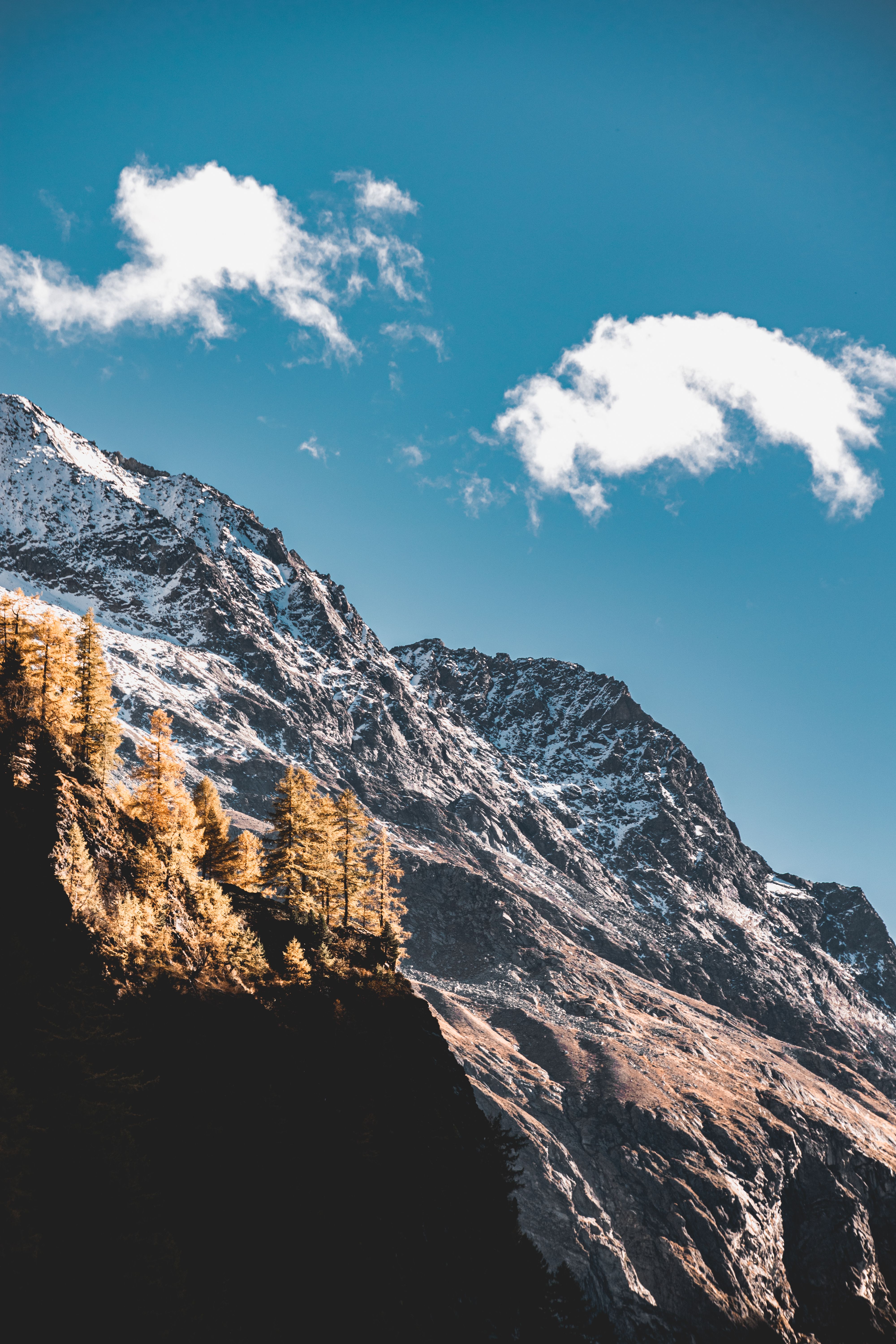 Sunlit, Rocky Mountains · Free Stock Photo