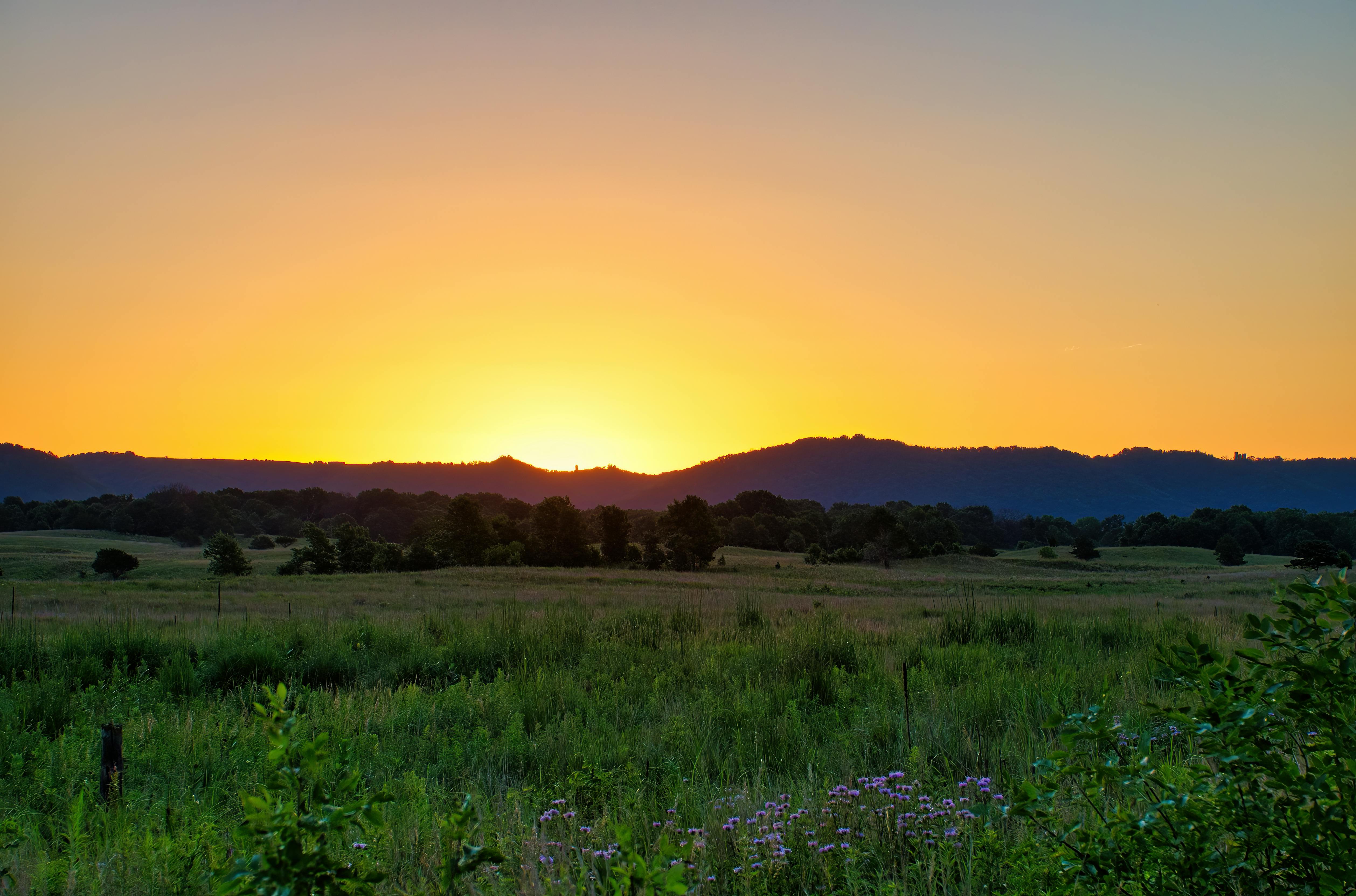 A Grassy Field during Sunset · Free Stock Photo