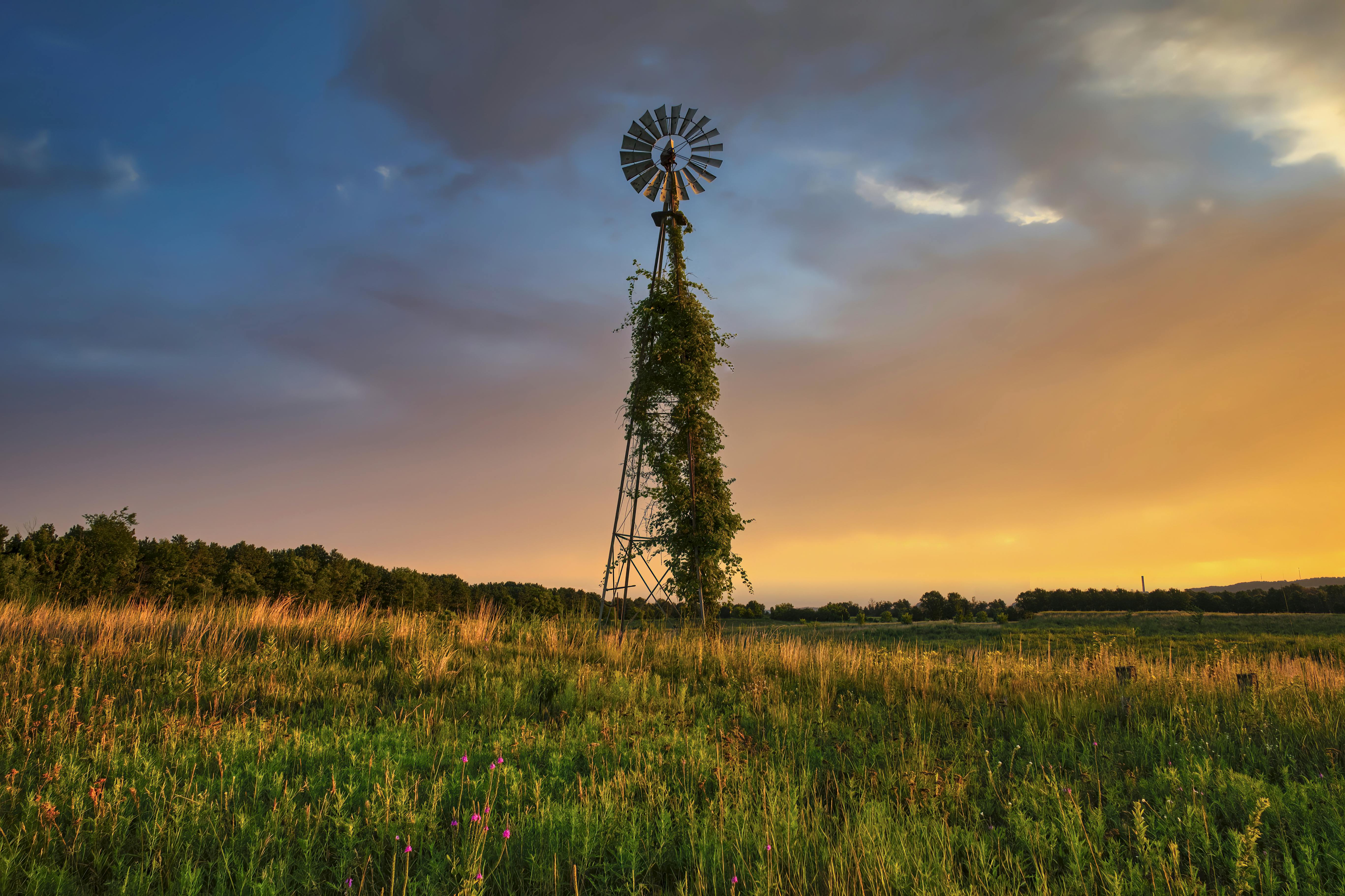 Windmill on Green Grass · Free Stock Photo