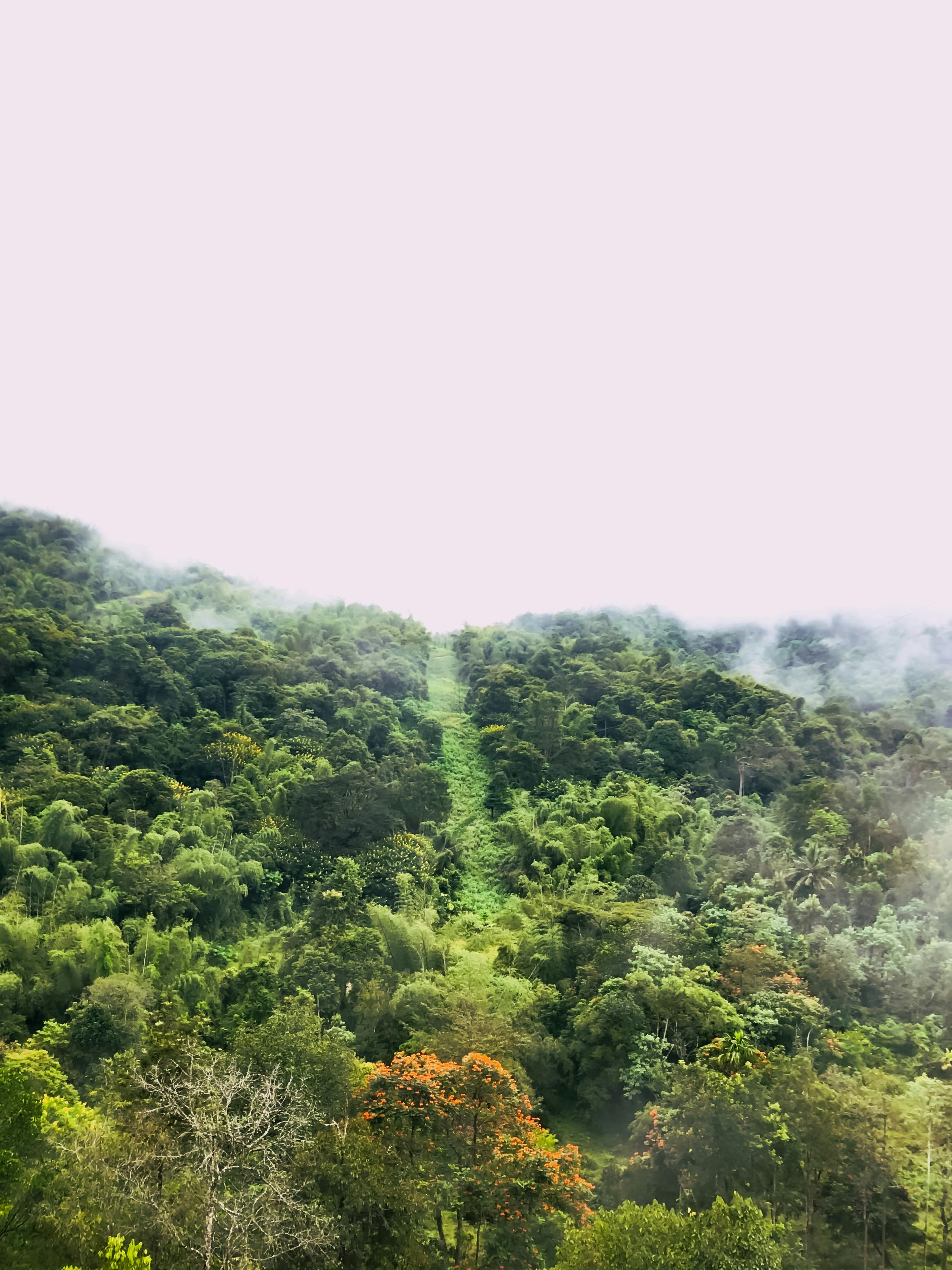 No Copyright Rain Photos, Download Free No Copyright Rain Stock Photos ...