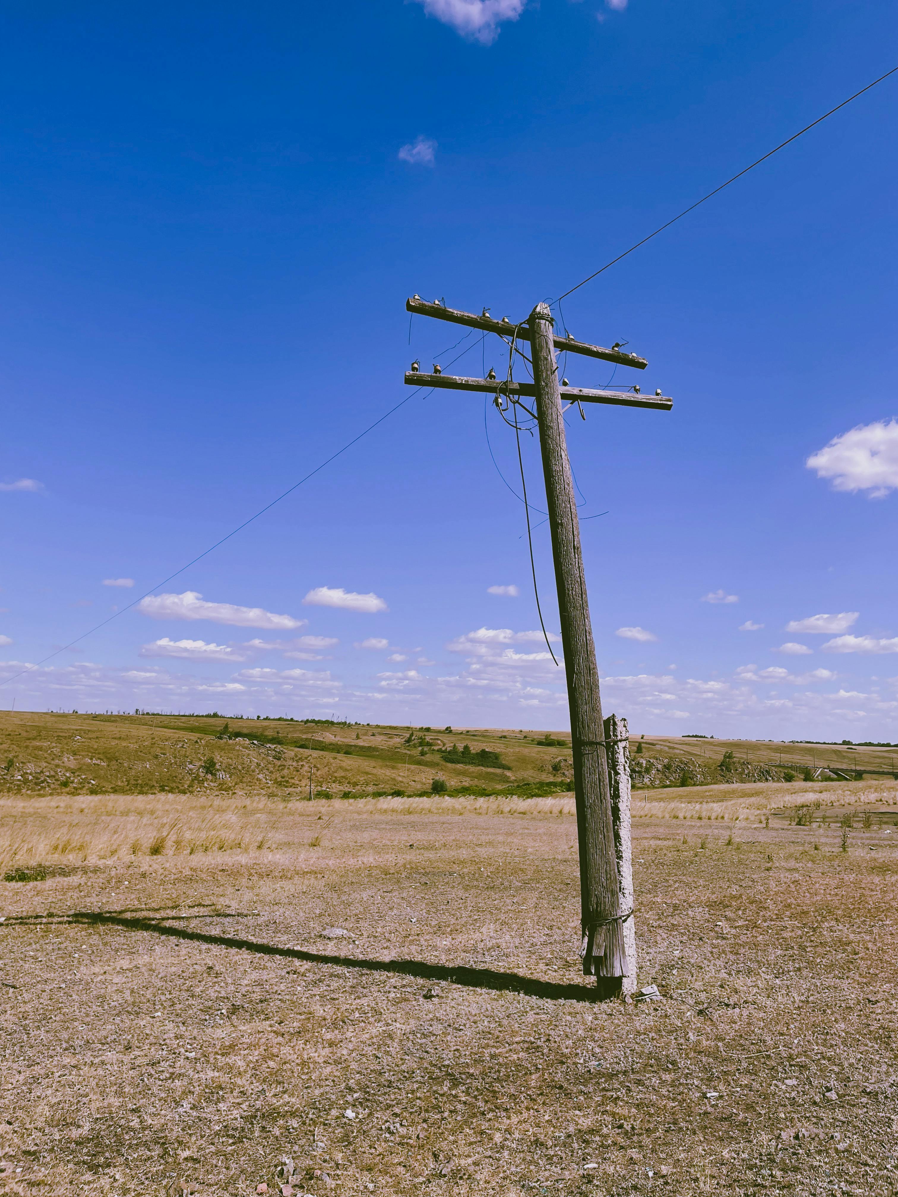 Electricity Pole in Field in Countryside · Free Stock Photo