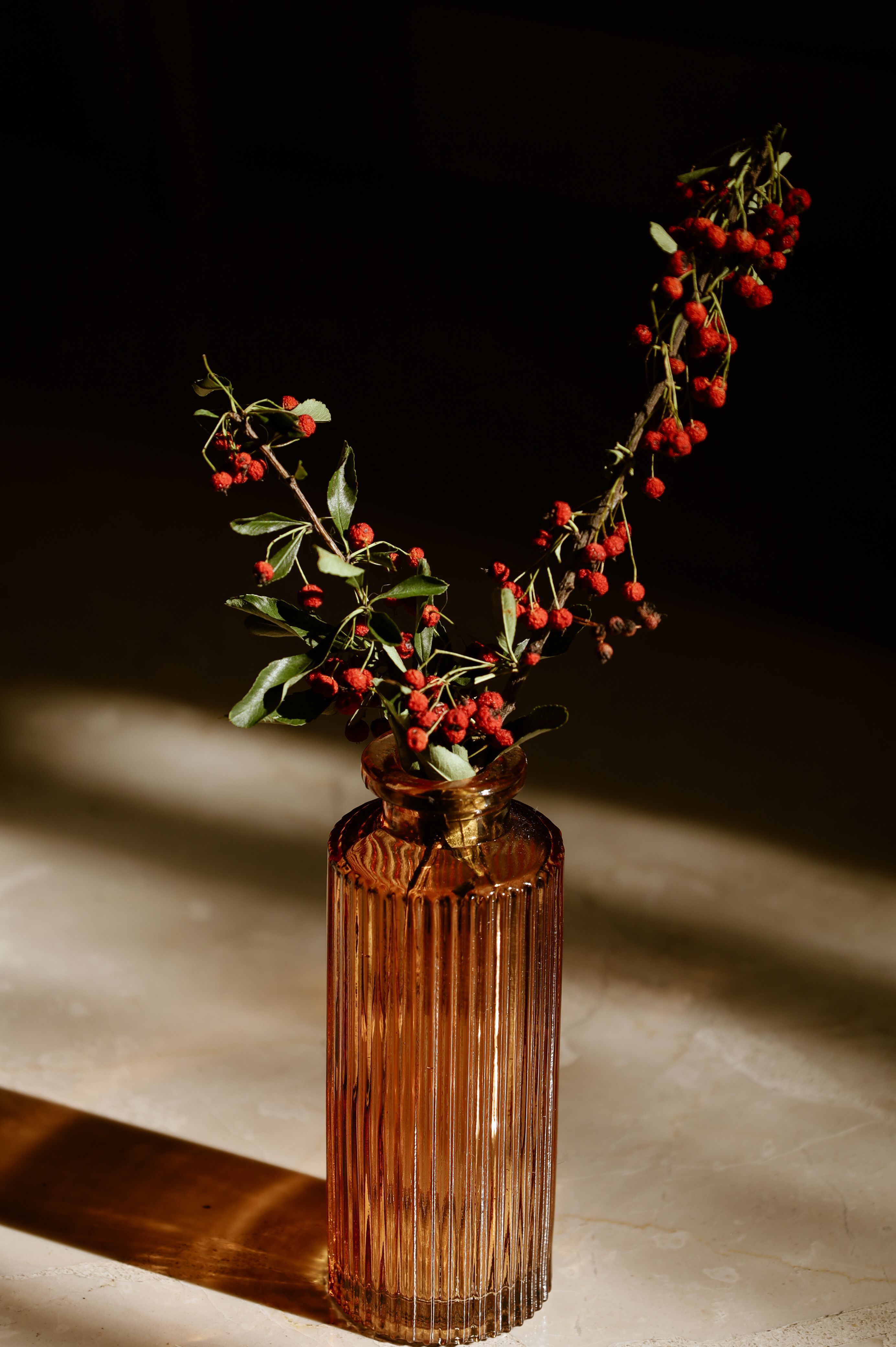 Sprigs of Red Berries in a Flower Vase · Free Stock Photo