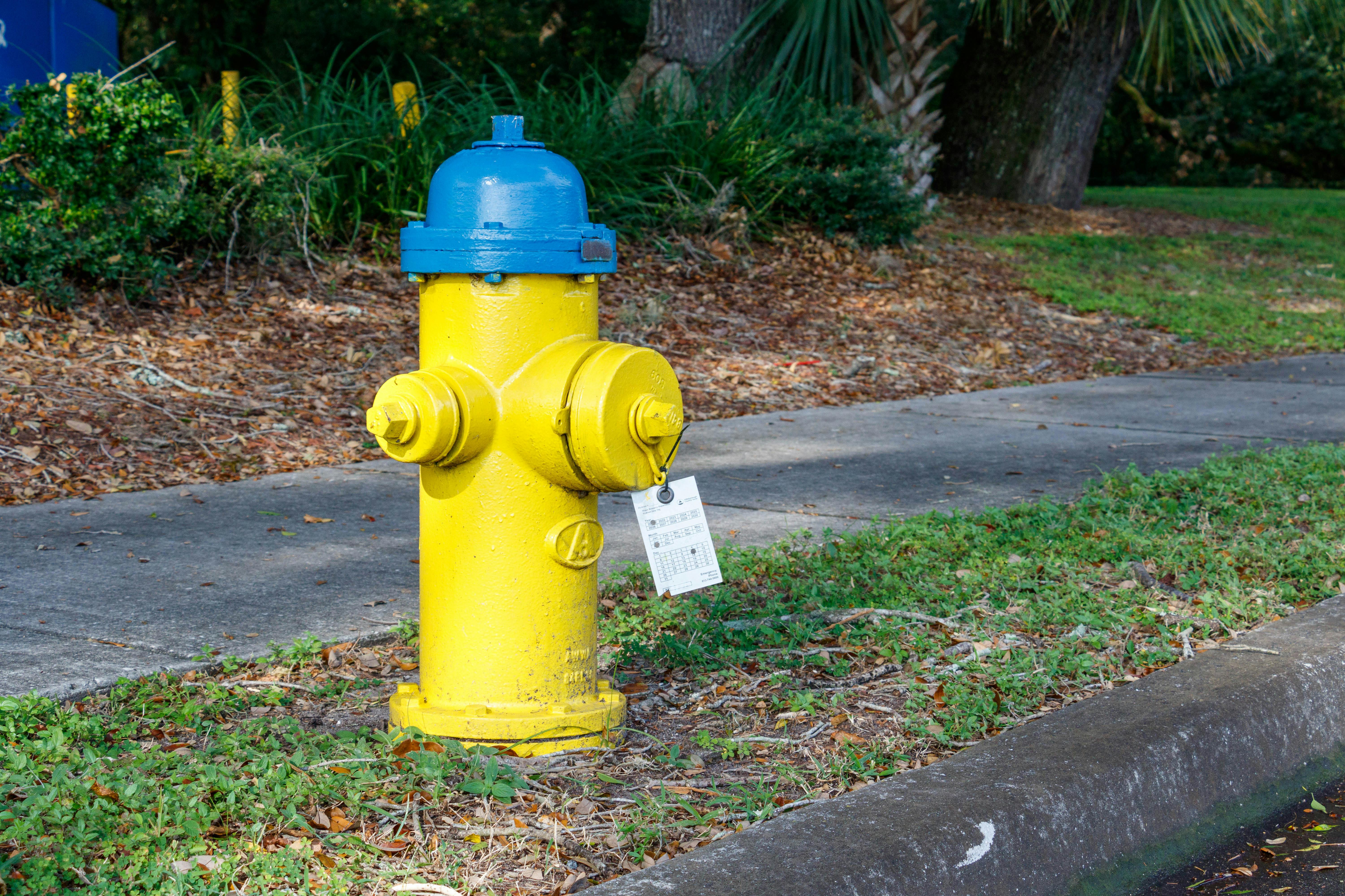 Hydrant And Sprinkler Photos, Download The BEST Free Hydrant And ...