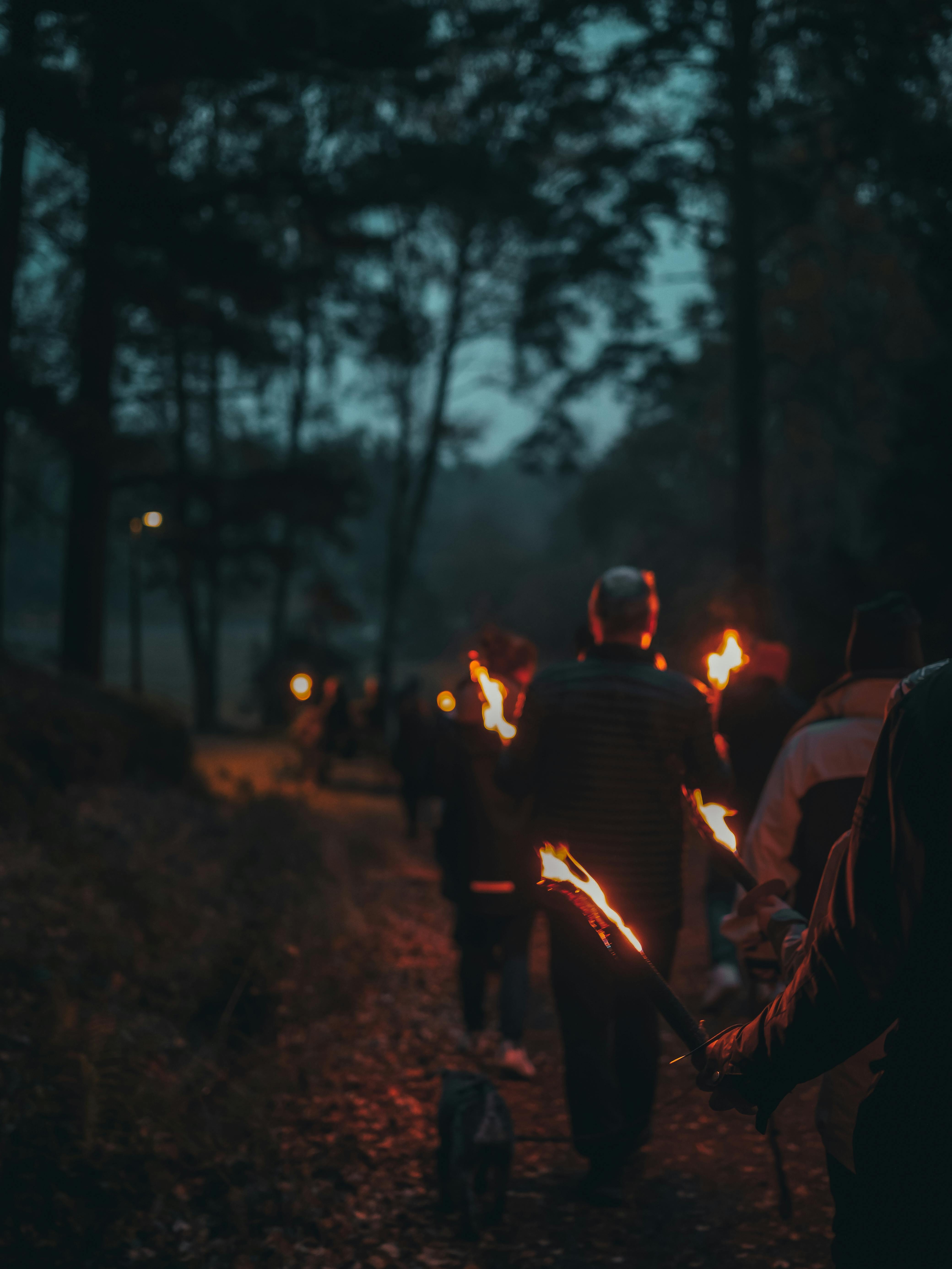 People Carrying Torches at Night · Free Stock Photo