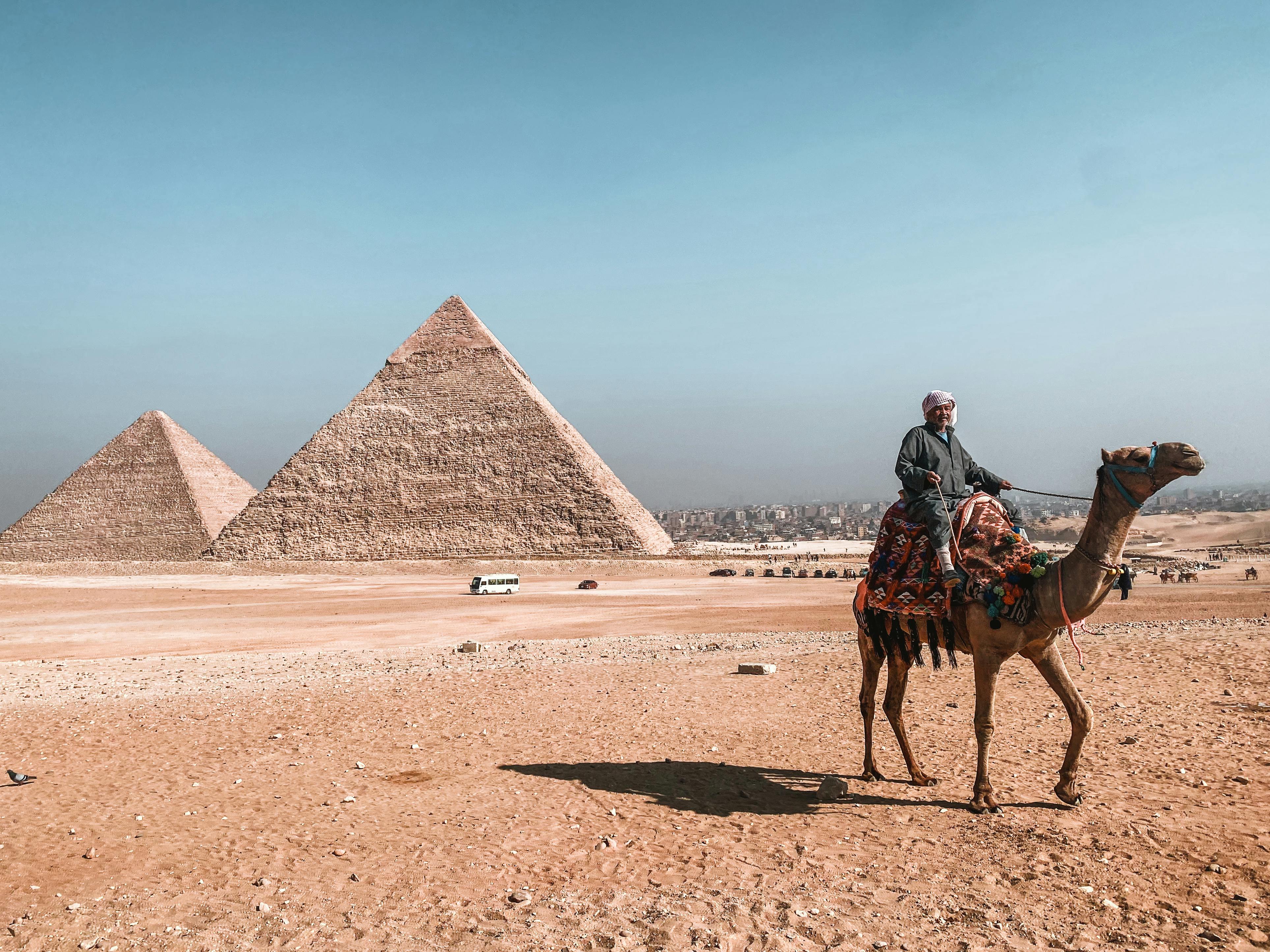 Two Men Standing Near Camels · Free Stock Photo Two Men Standing Near Camels · Free Stock Photo