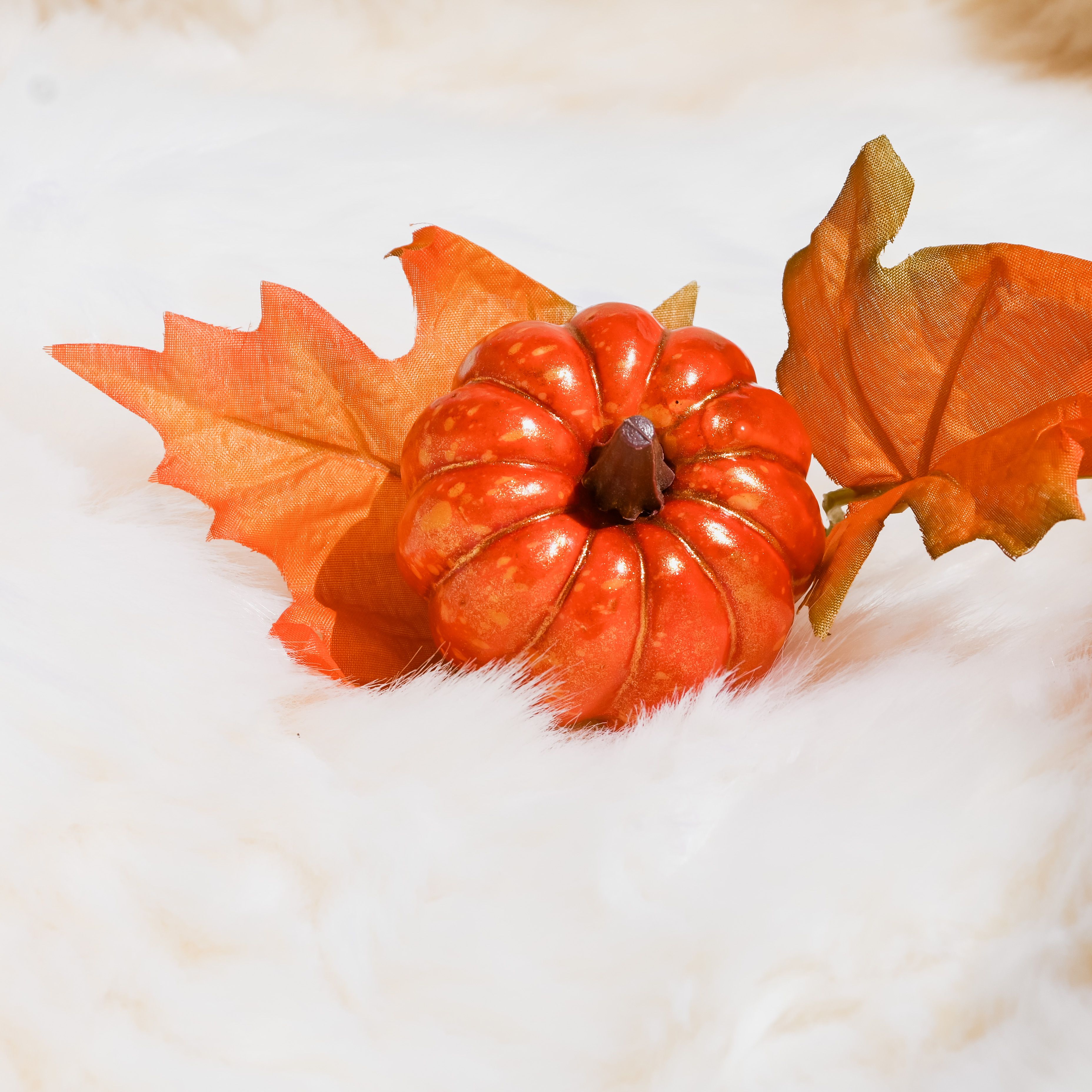 Warty Pumpkin Photos, Download Free Warty Pumpkin Stock Photos & HD Images