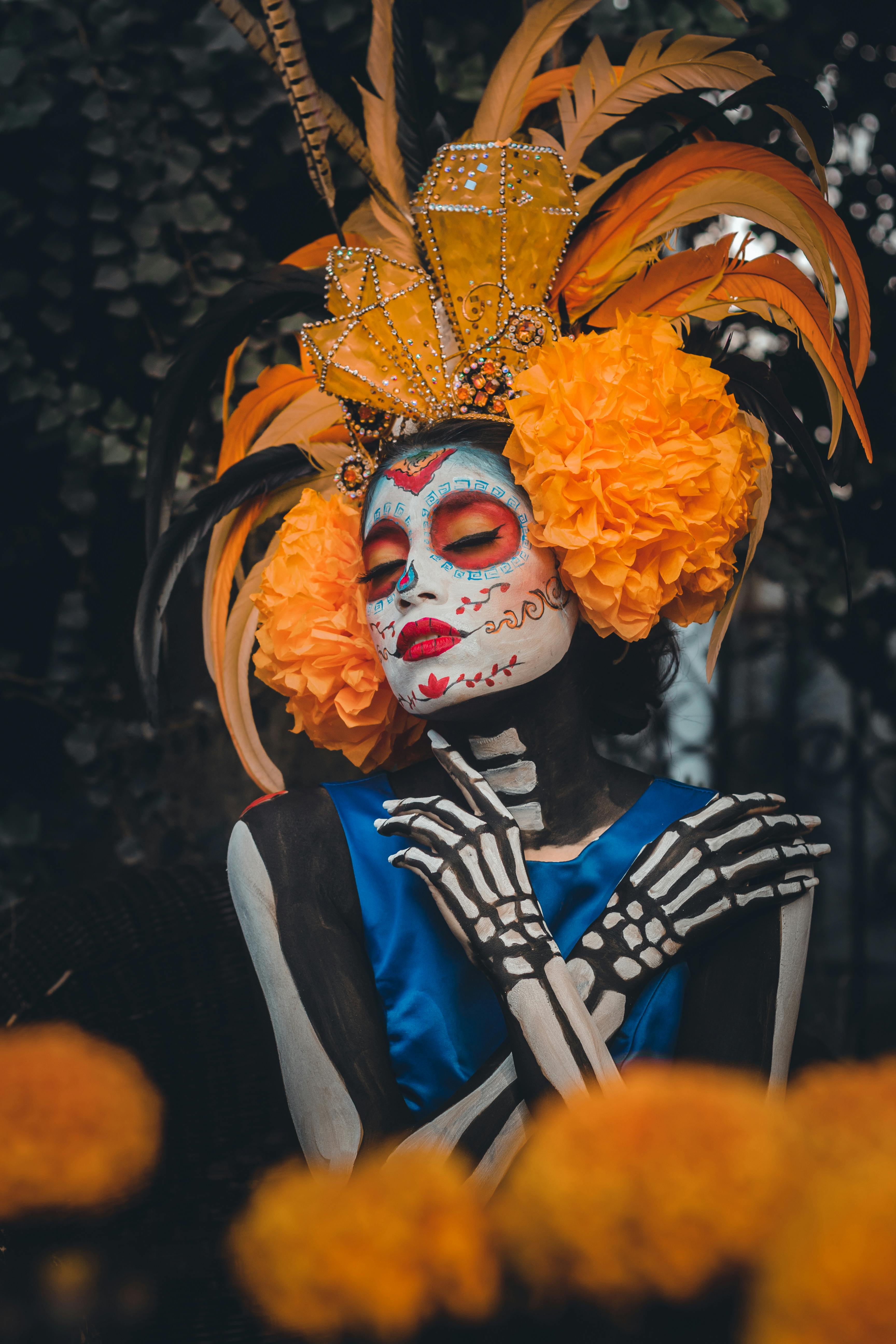 Foto de stock gratuita sobre ambiente festivo, américa del norte ...