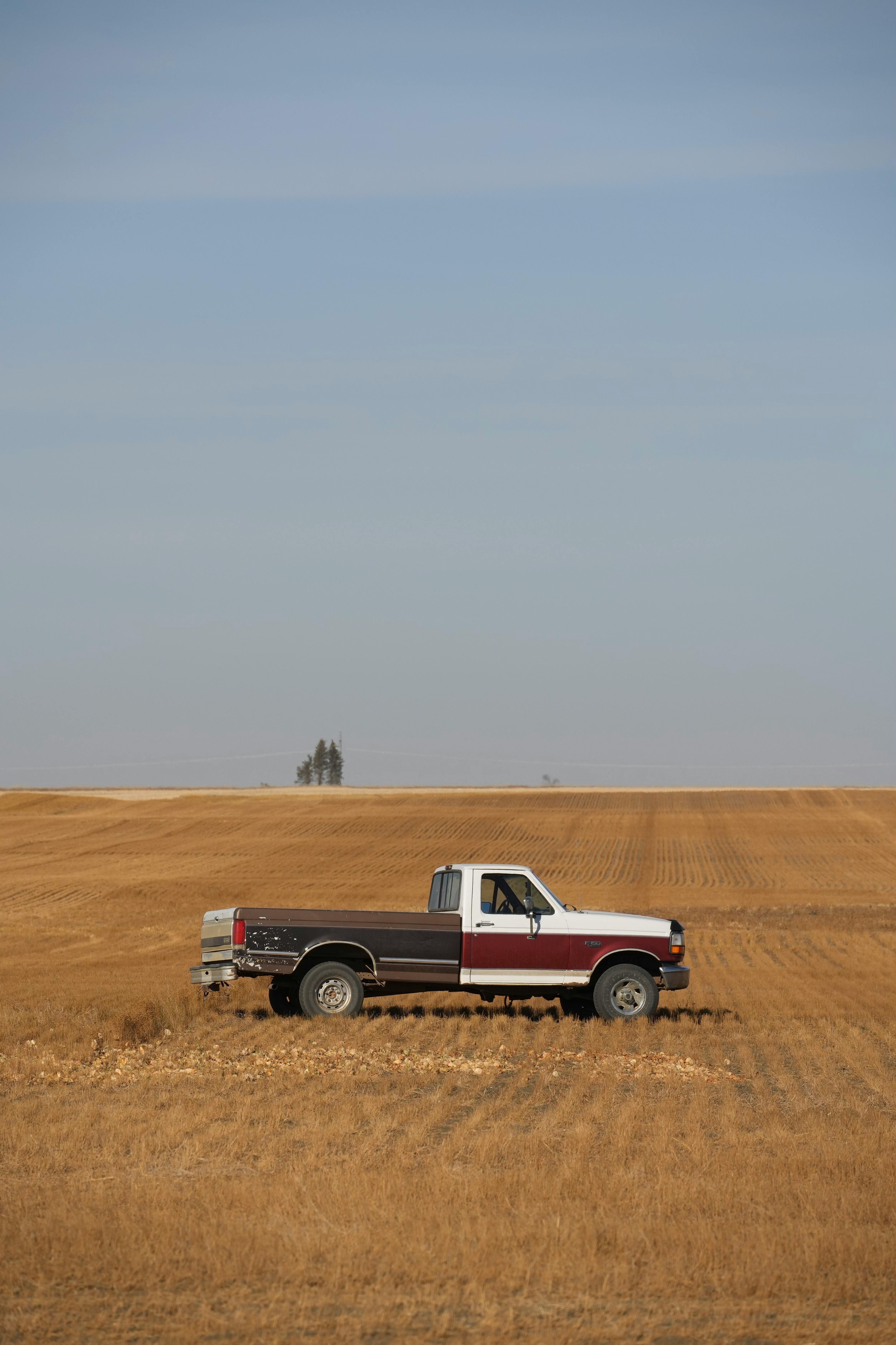 Pickup Truck in Field · Free Stock Photo
